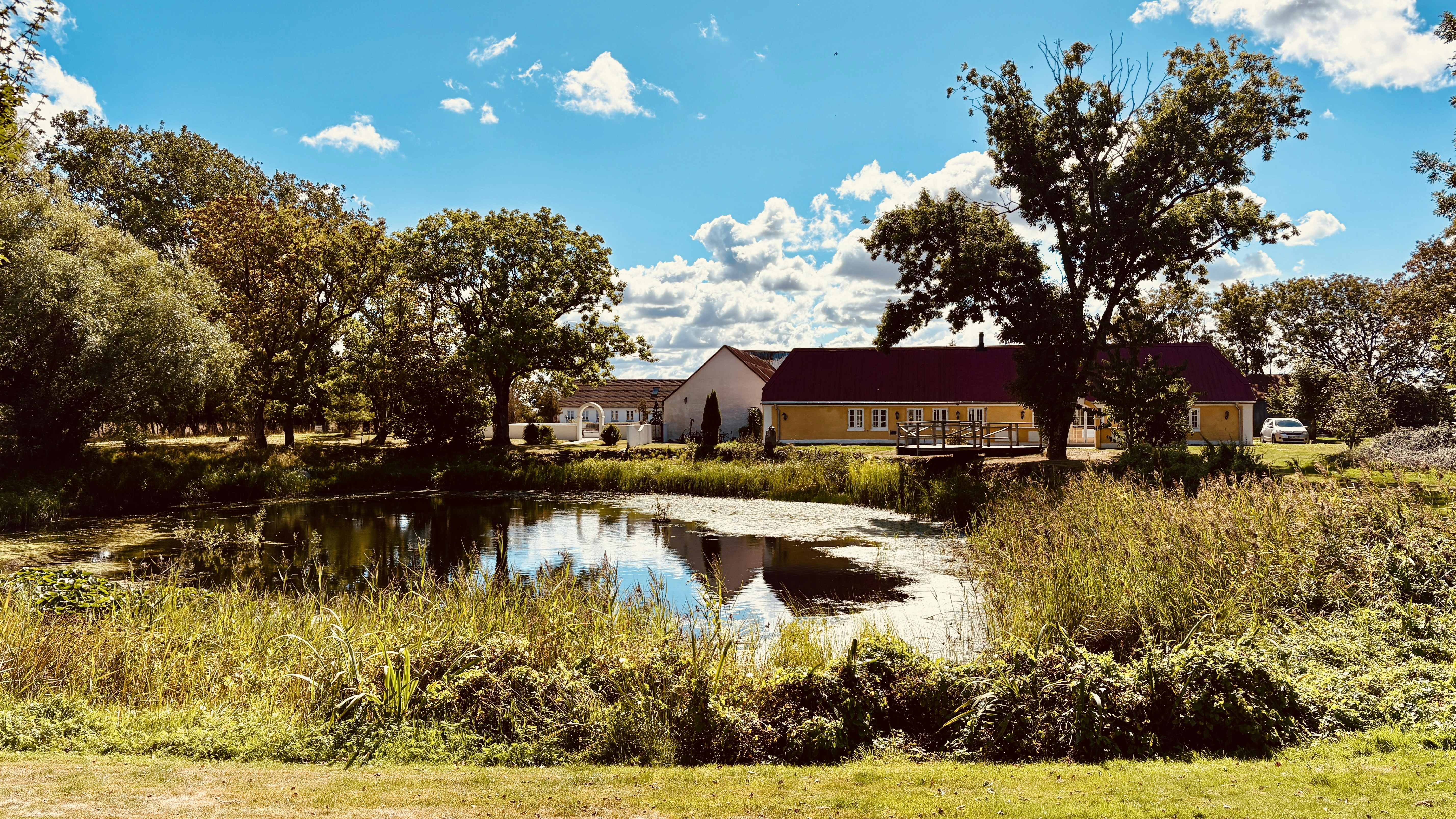 Sunlit farmstead by a tranquil pond under a crisp blue summer sky