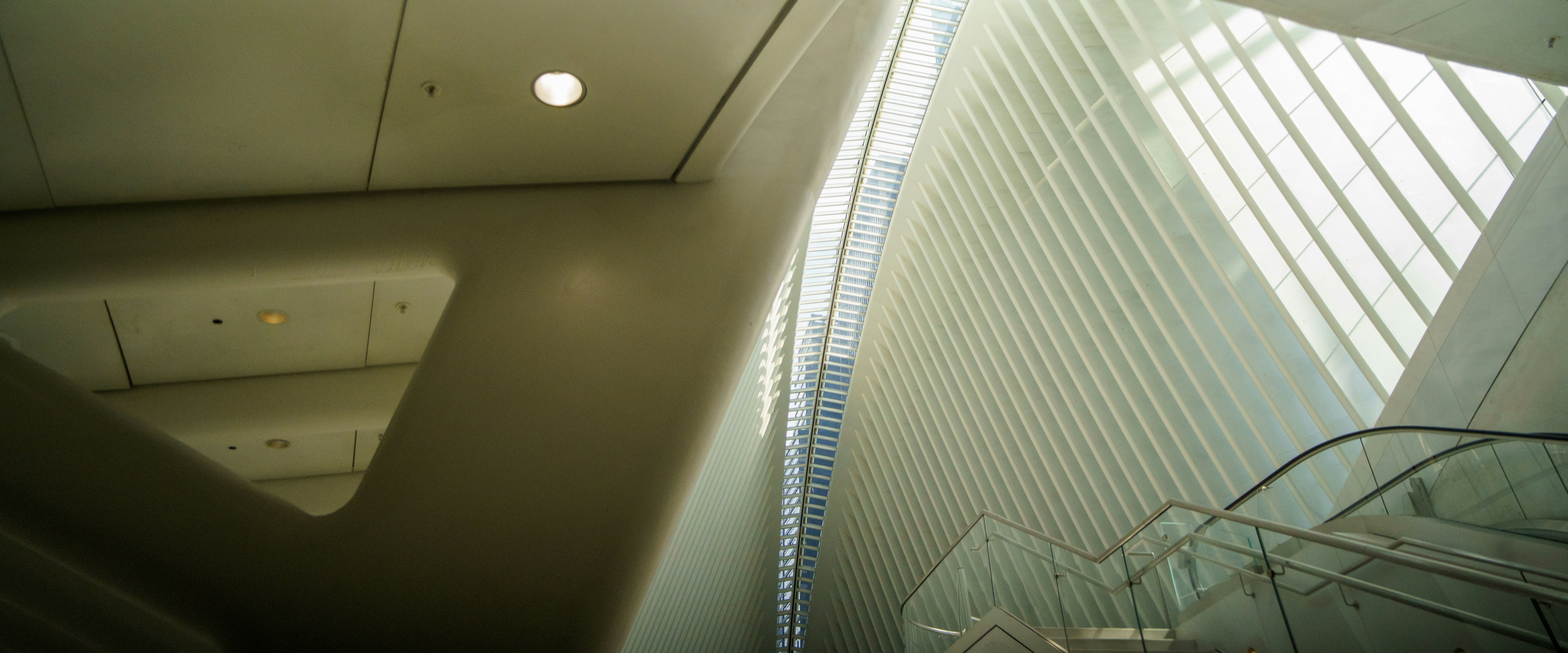 Glassed Ascent: Light Leans on a Curved Atrium