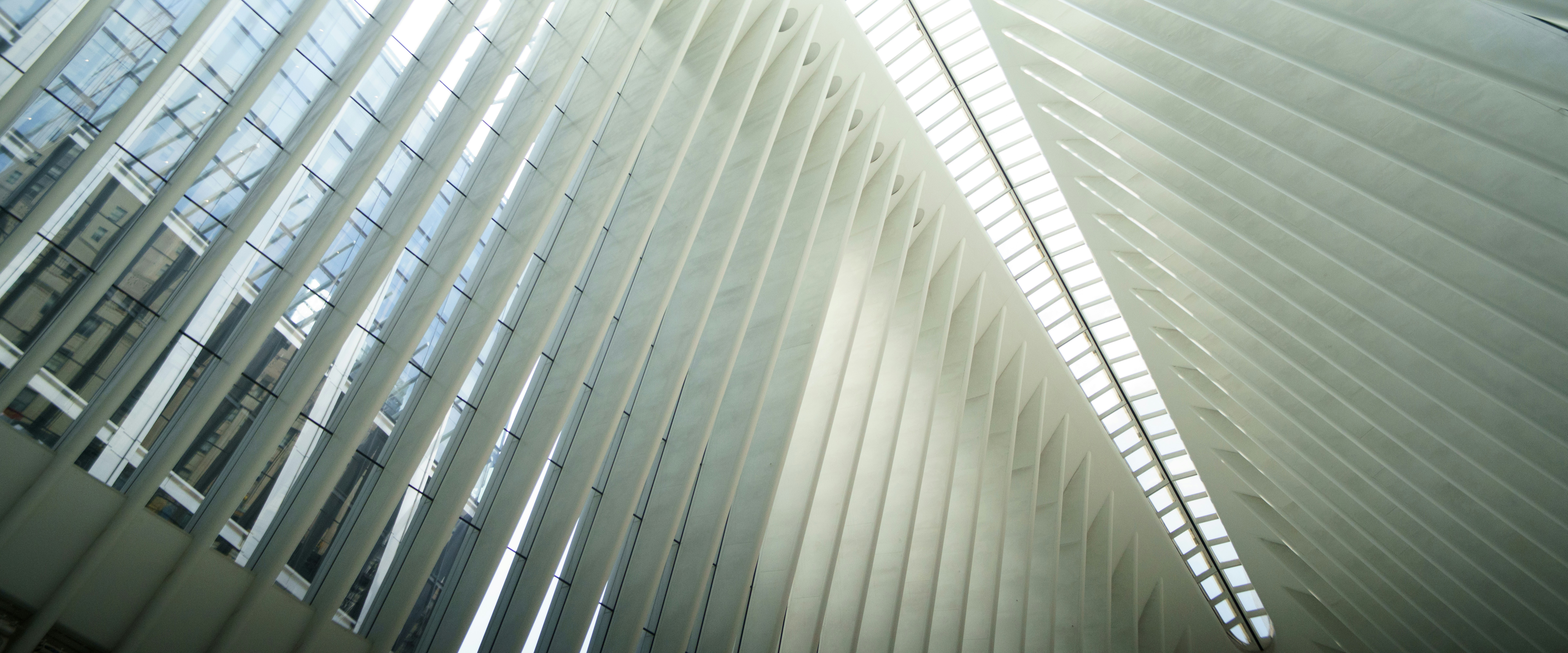 Ribbed light: converging arches in a sunlit atrium
