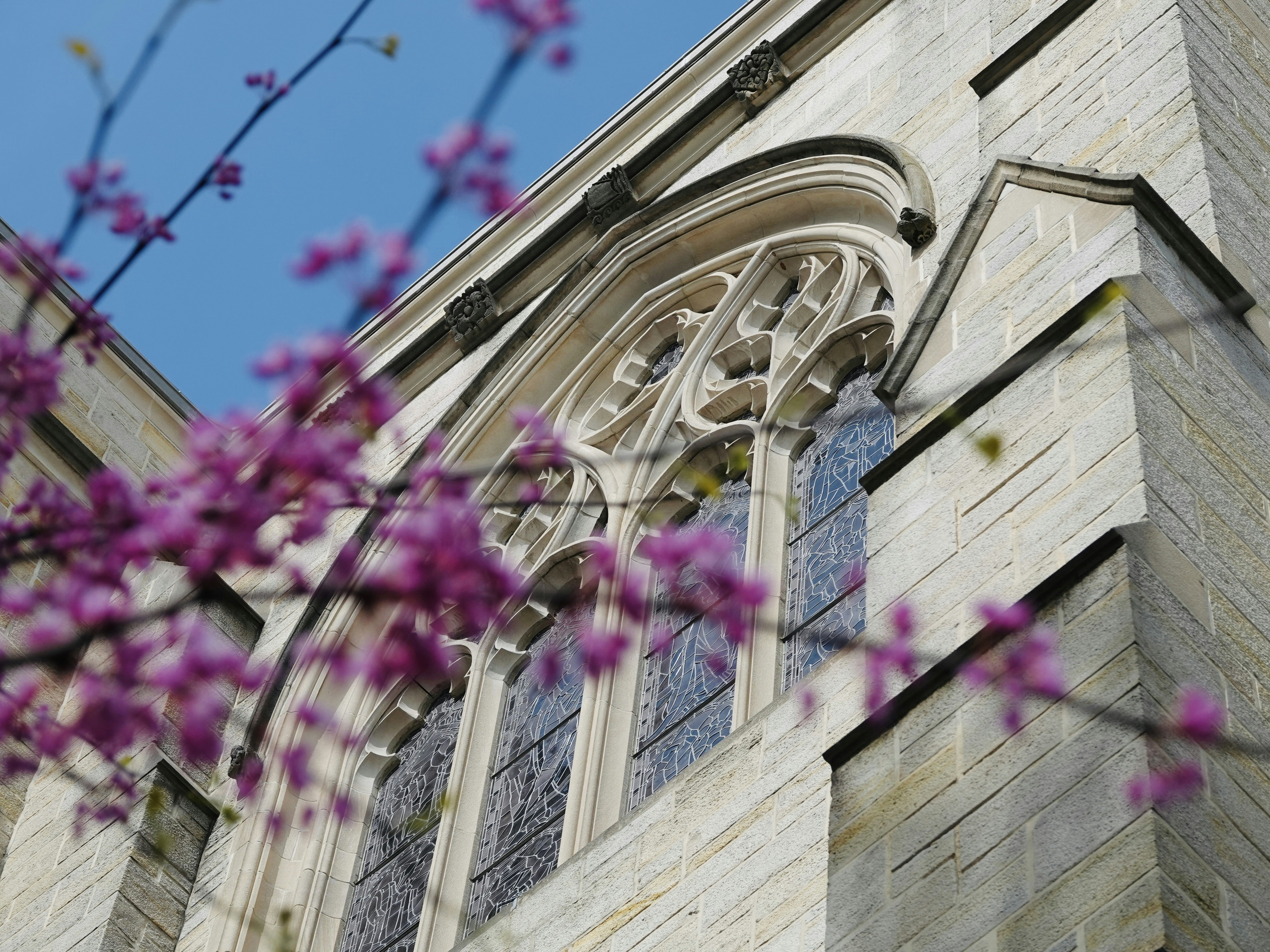 Angled Gothic Window Framed by Spring Blooms Against Blue Sky