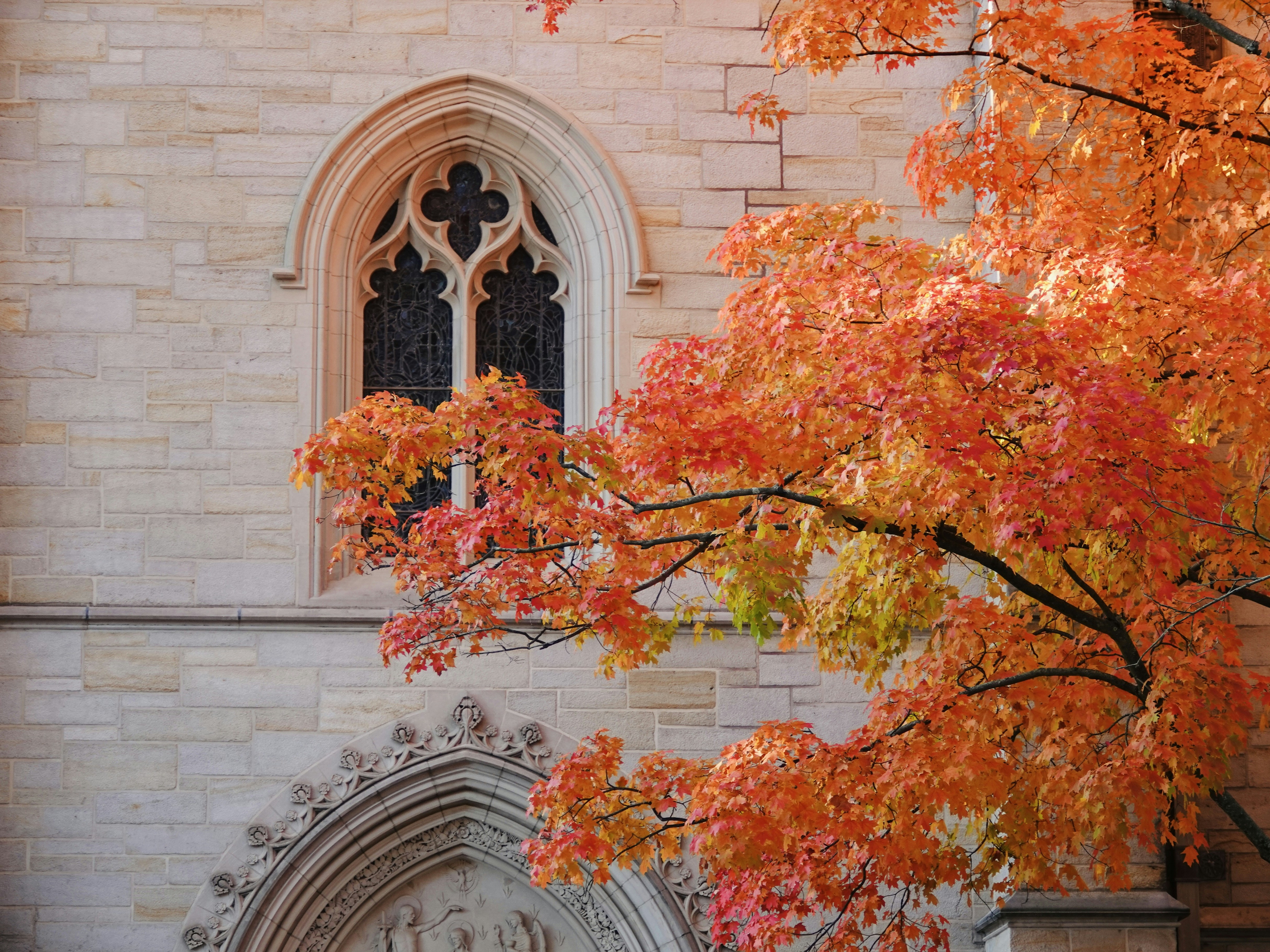 Autumn Facade: Scarlet Leaves Frame a Gothic Window