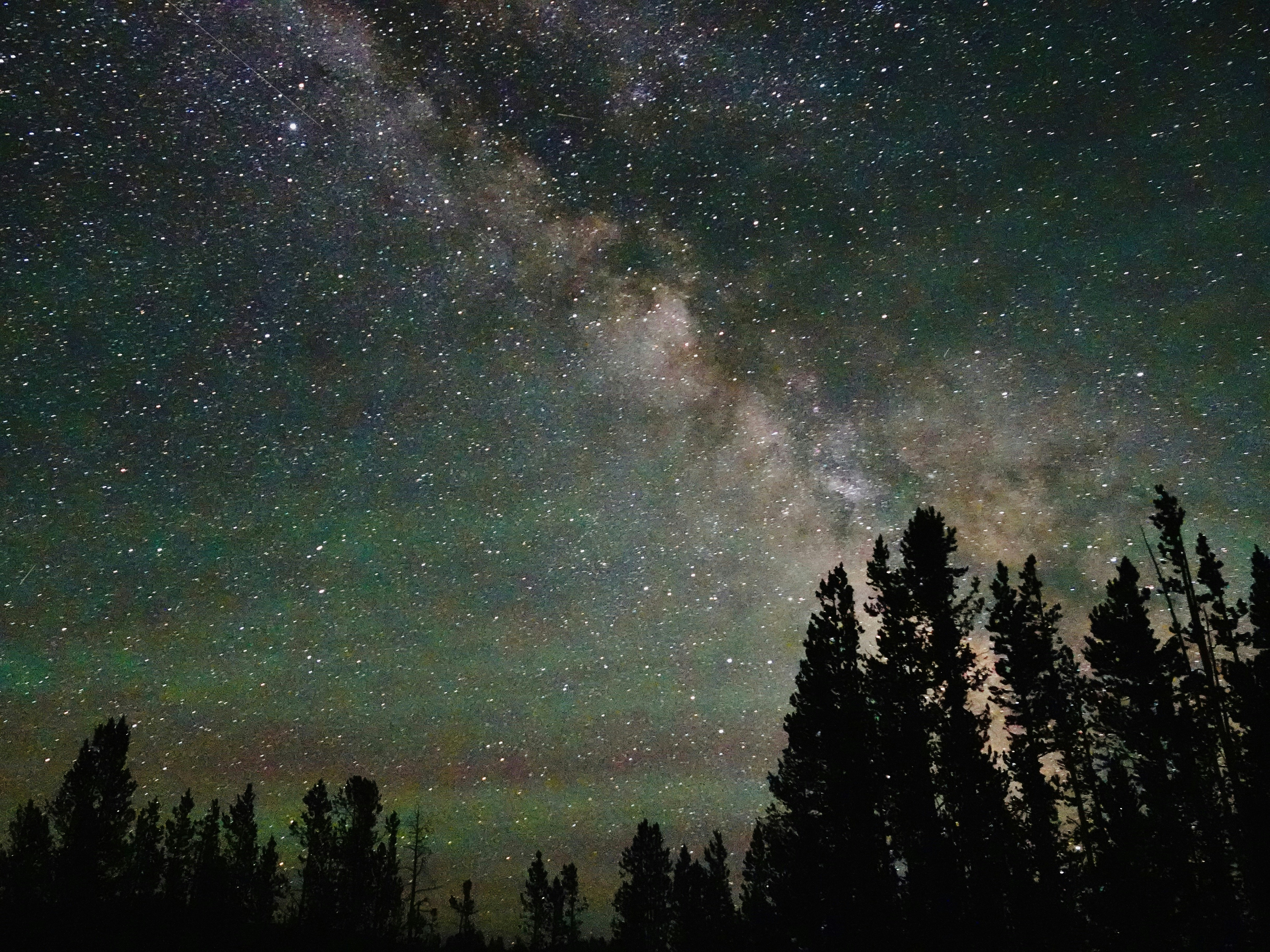 Milky Way Over Silent Pines