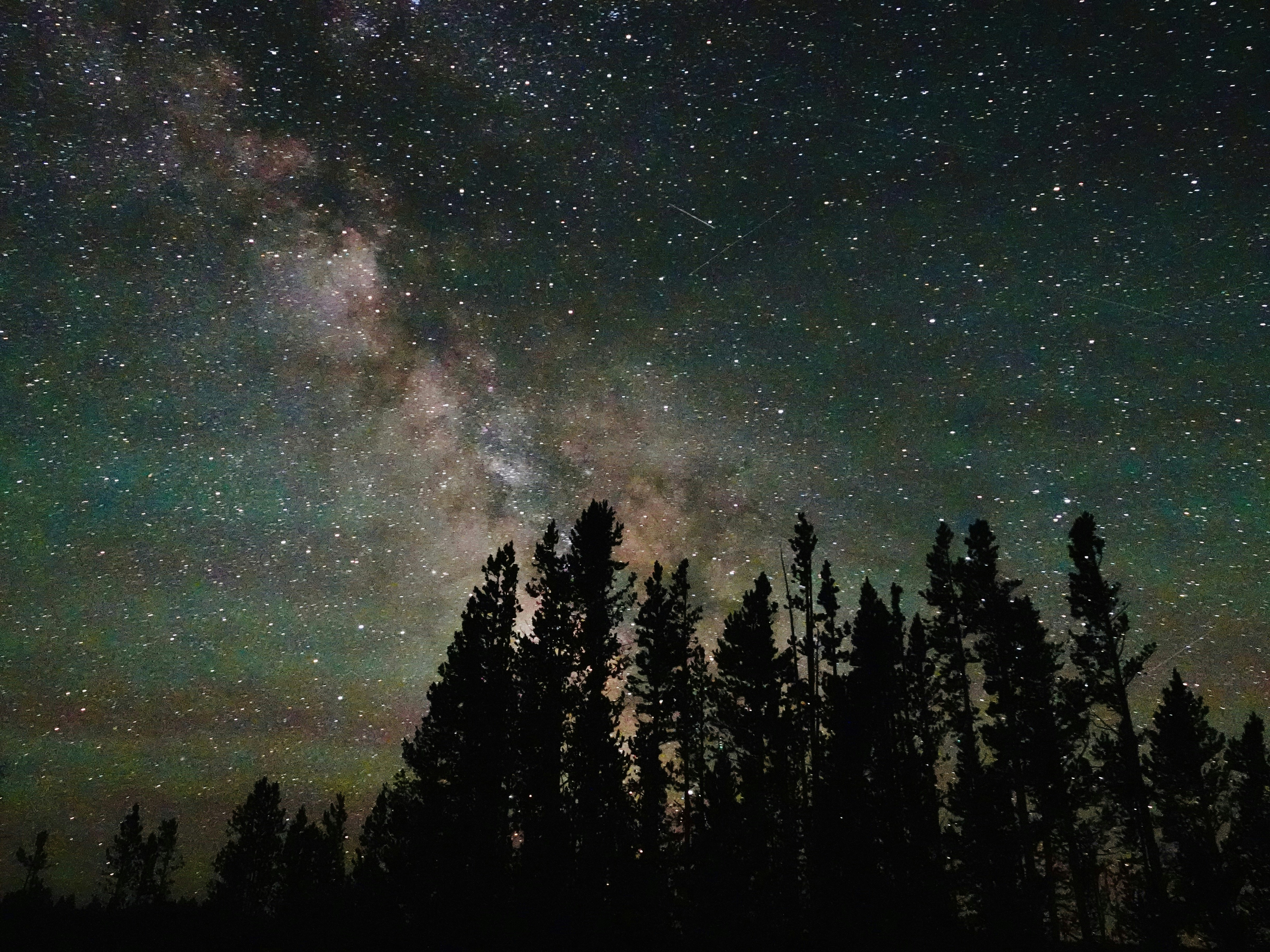Milky Way Over Silent Pines