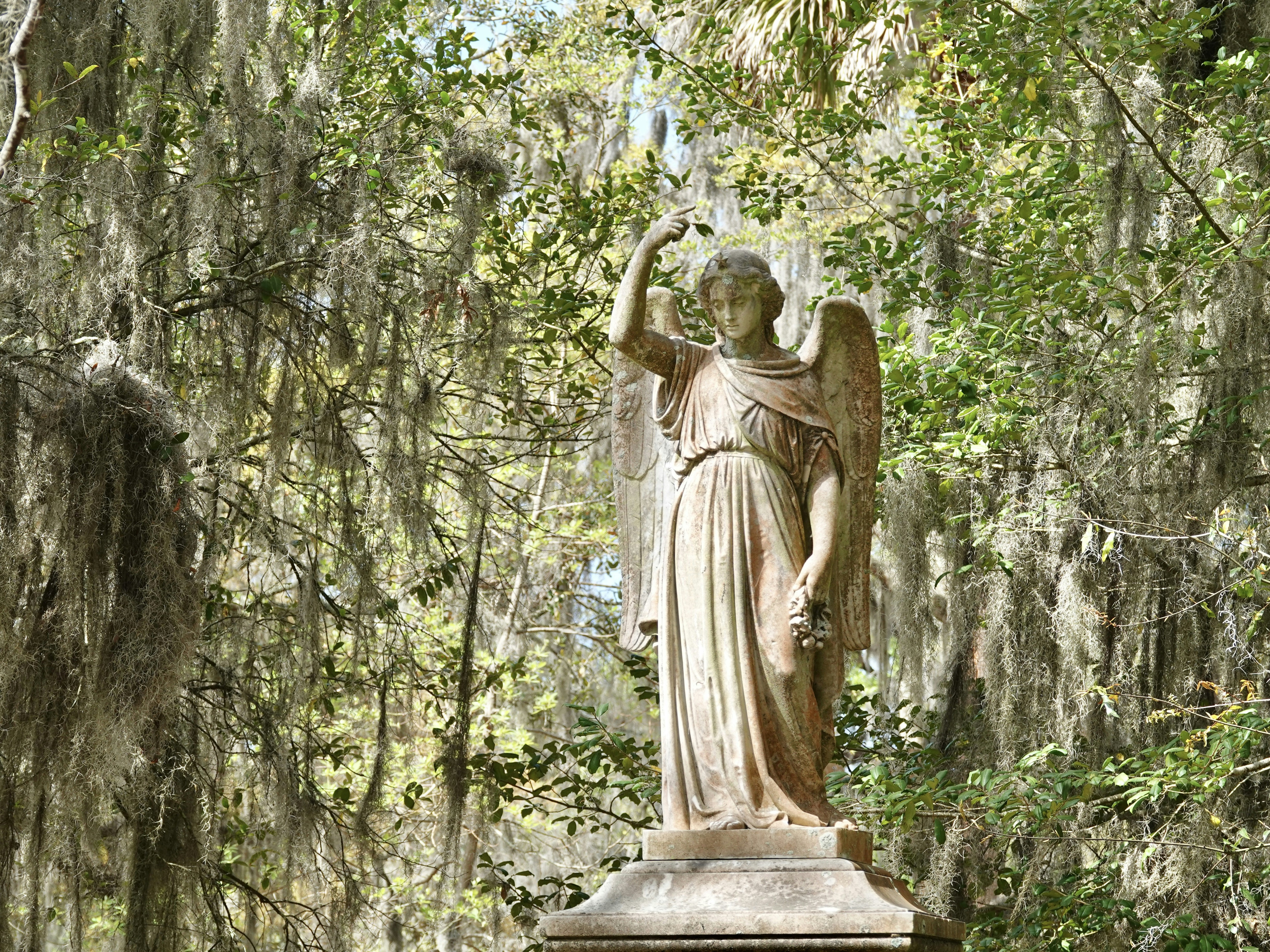 Guardian in the Grove: Angelic Statue under Mossy Canopy