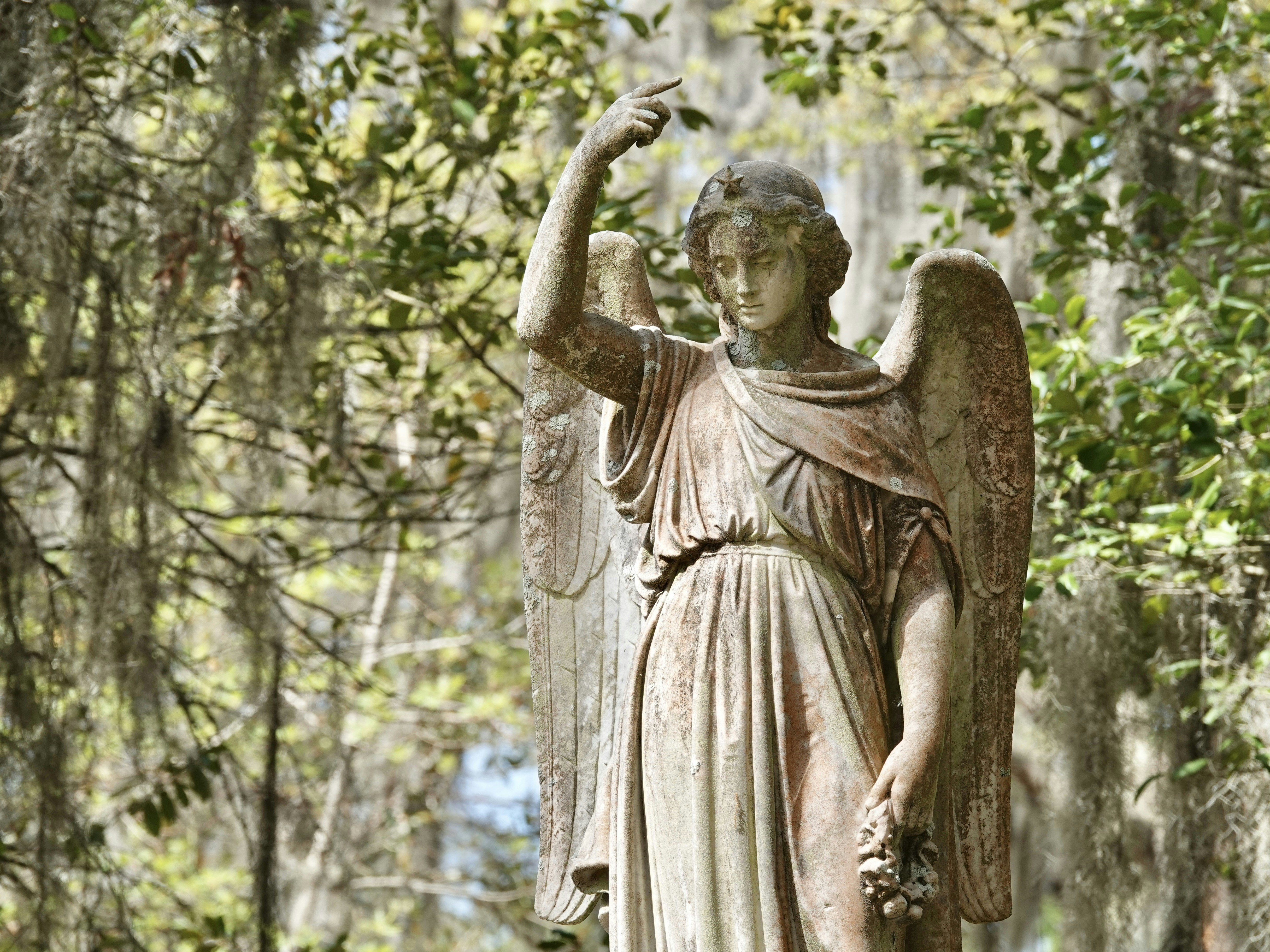 Angel Sentinel: weathered limestone statue in a sun-dappled graveyard