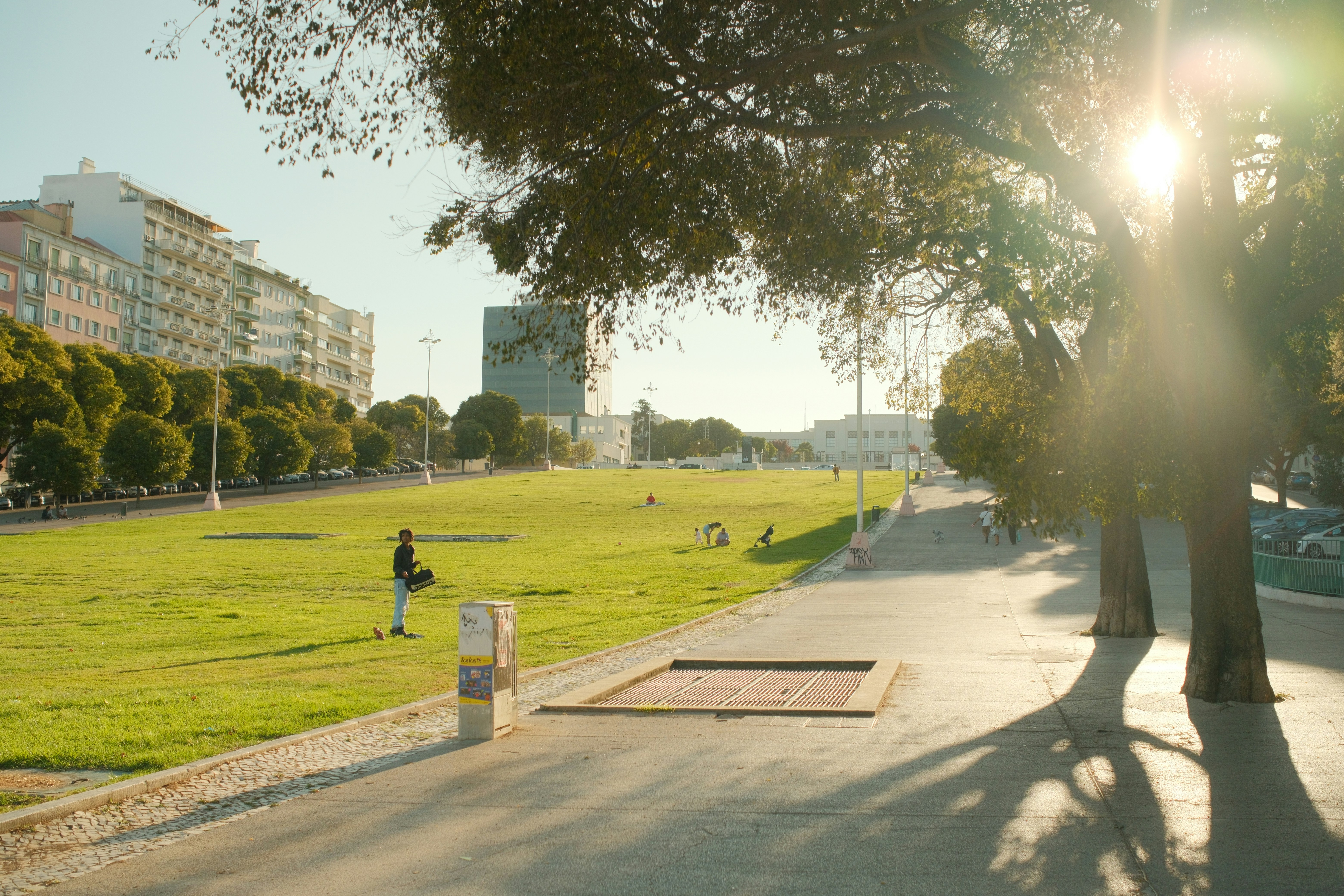 Sunlit Parkway with Long Shadows and City Backdrop