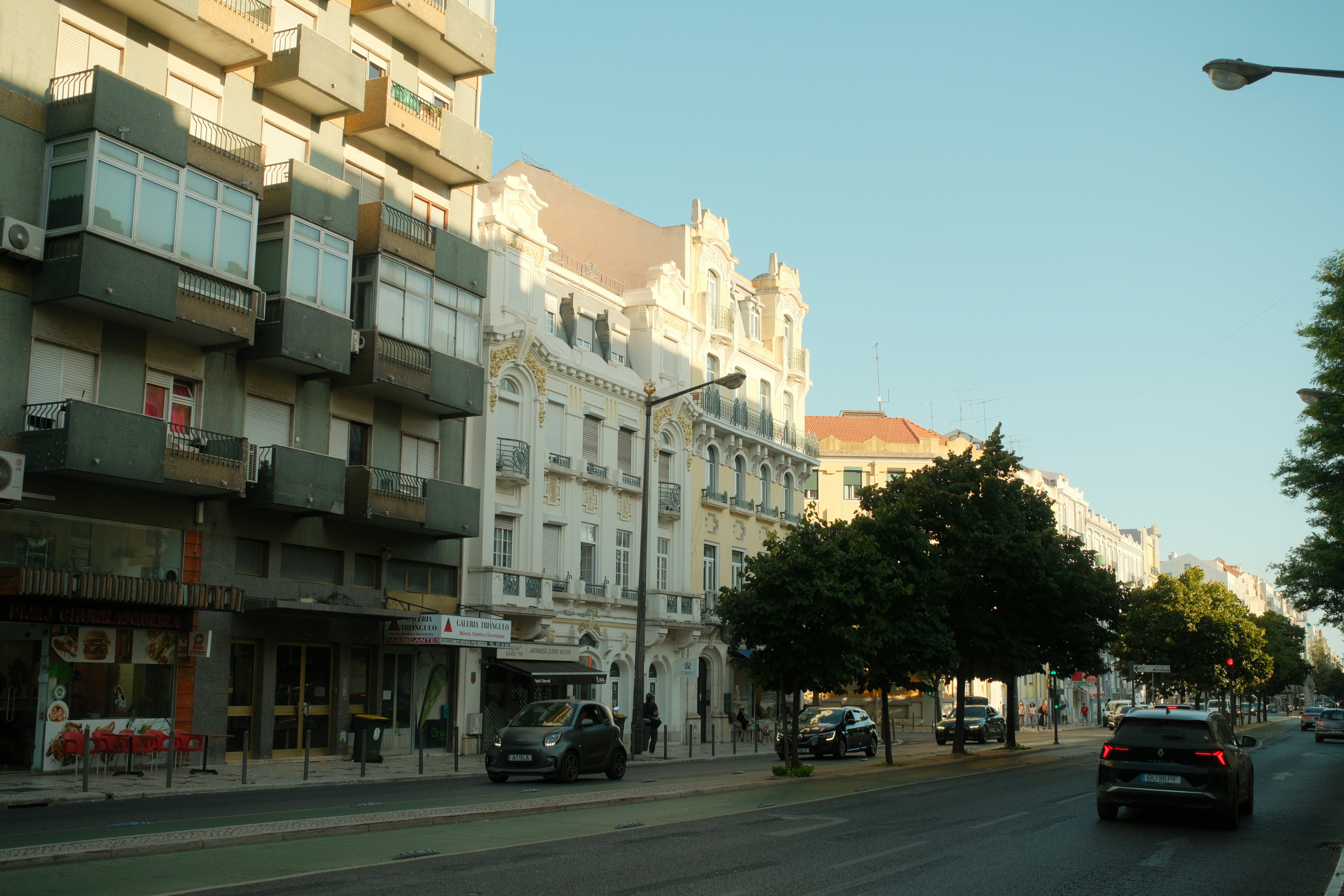 City Street Facade Chorus: Cars, Trees, and Townside Echoes