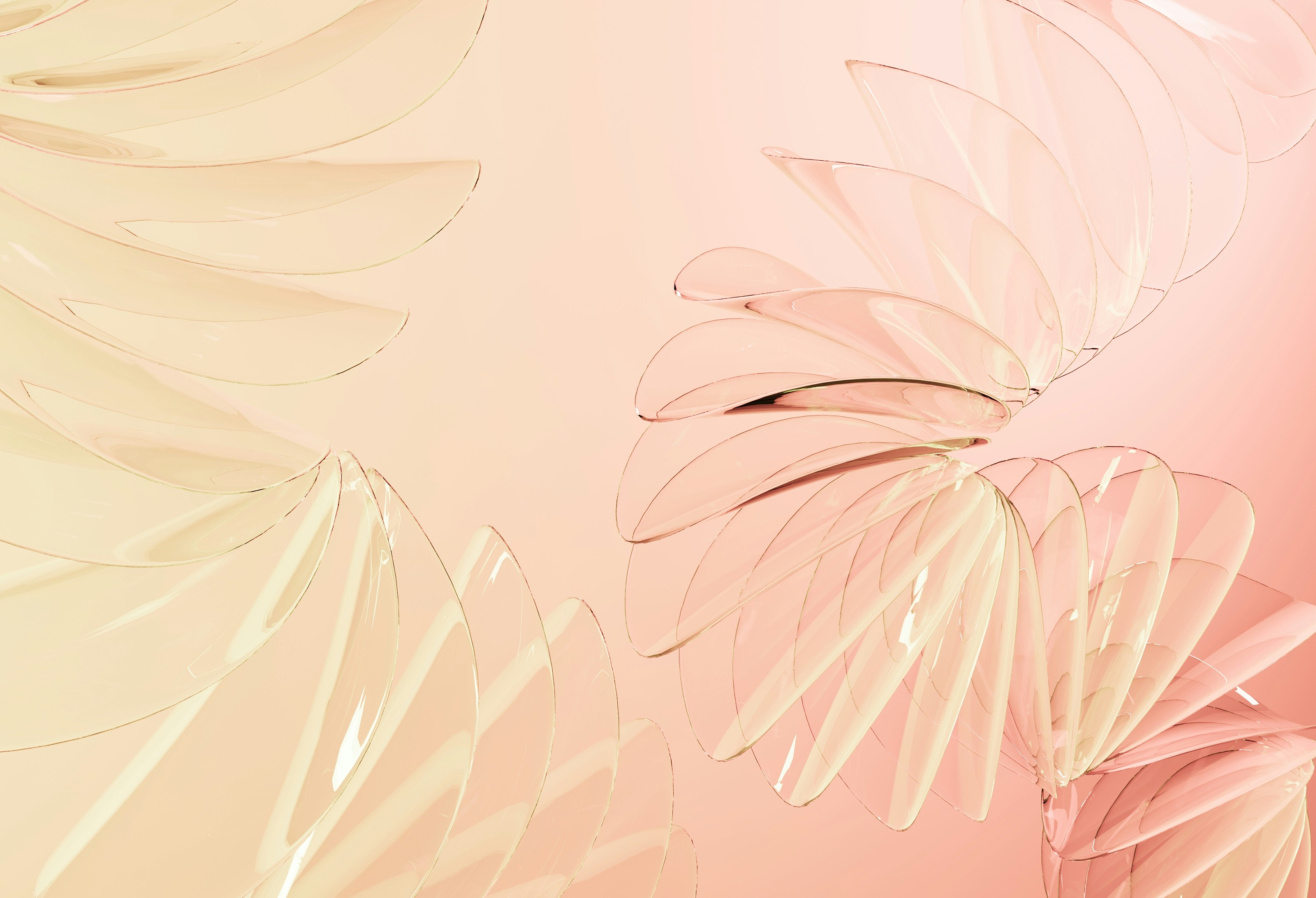 Soft Petal Echoes in a Blush Gradient