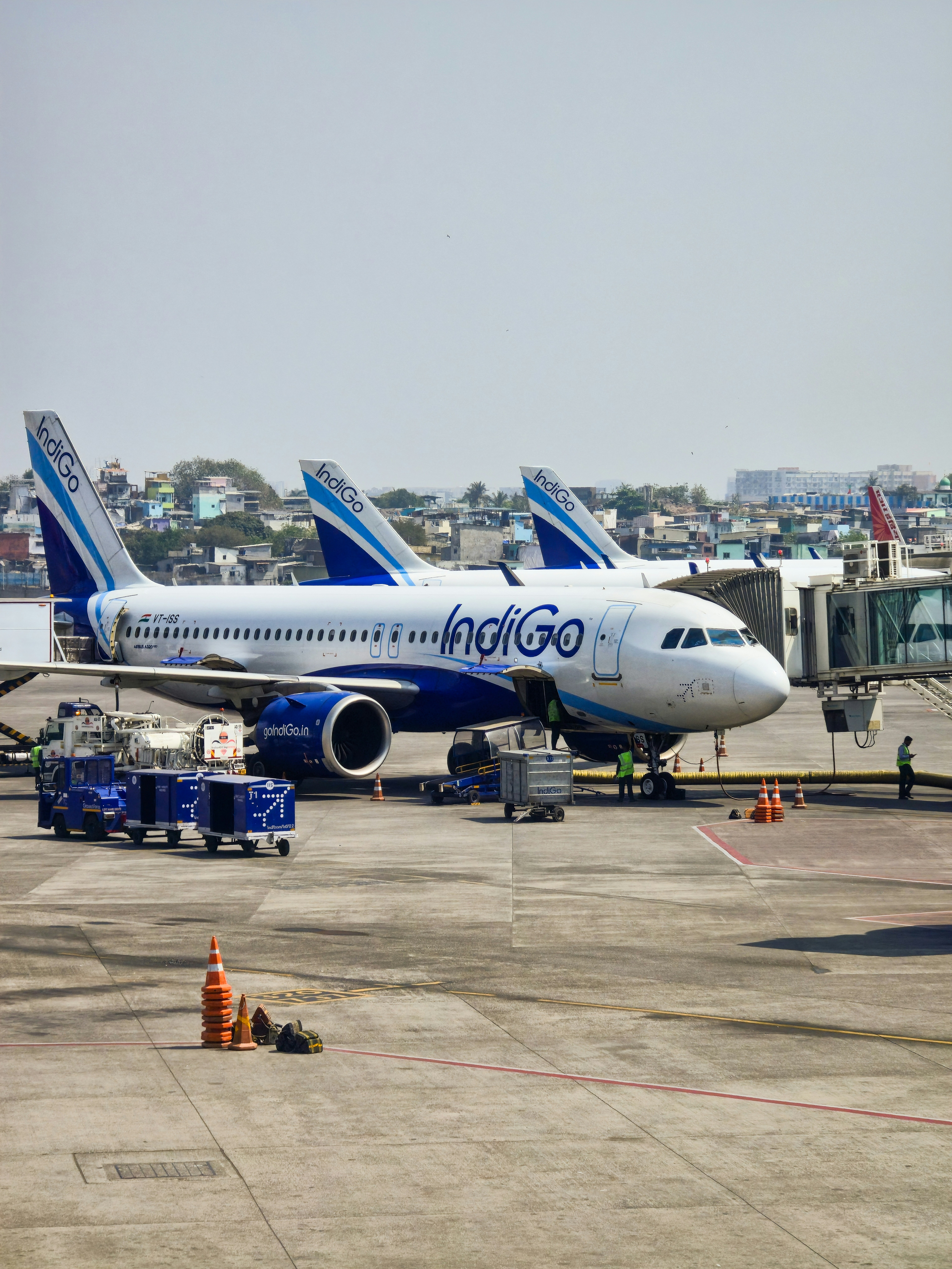 Indigo at the Gate: A Quiet Ramp Scene