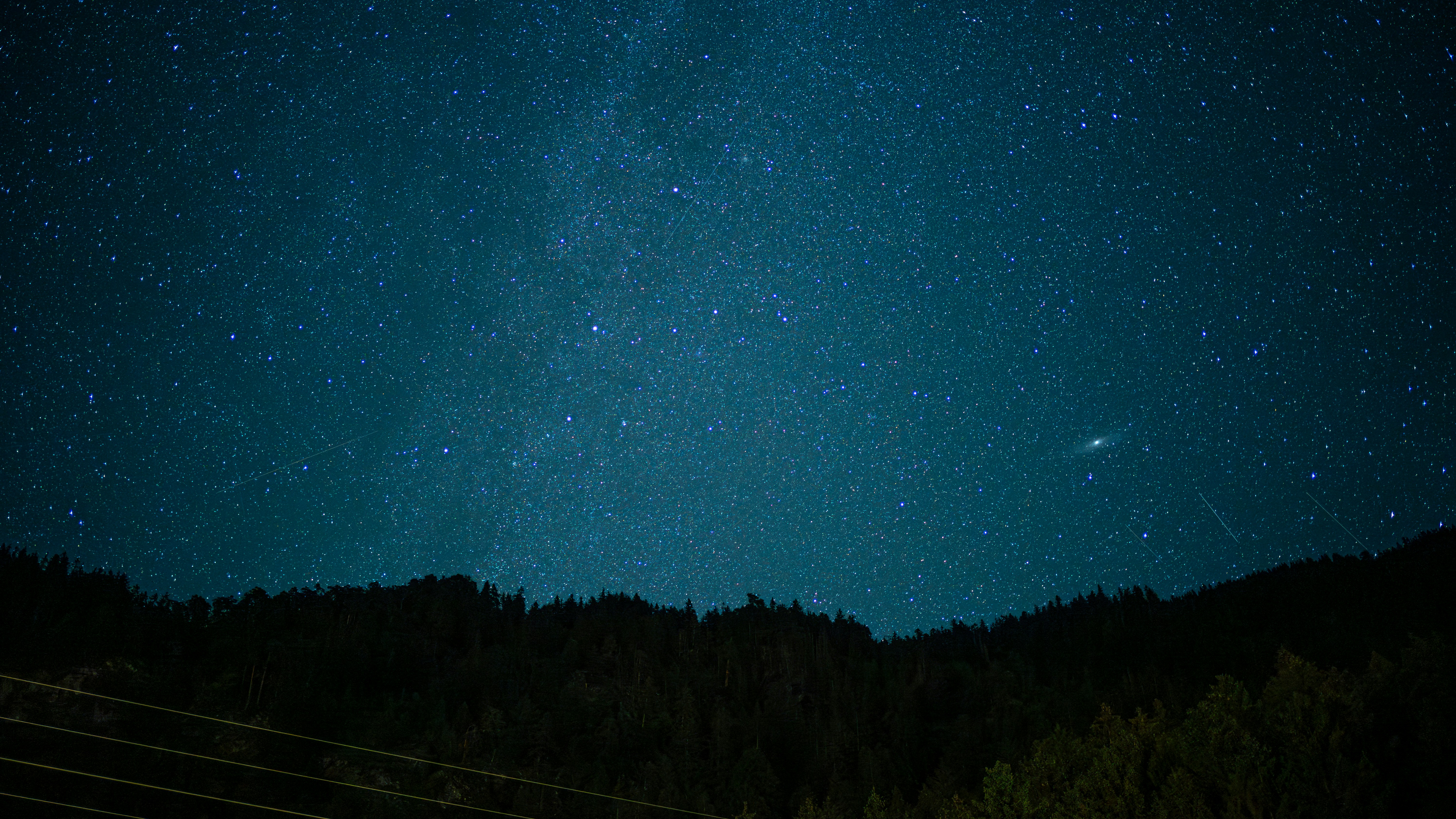 Starlit Ridge: A Quiet Night Sky Over the Forest