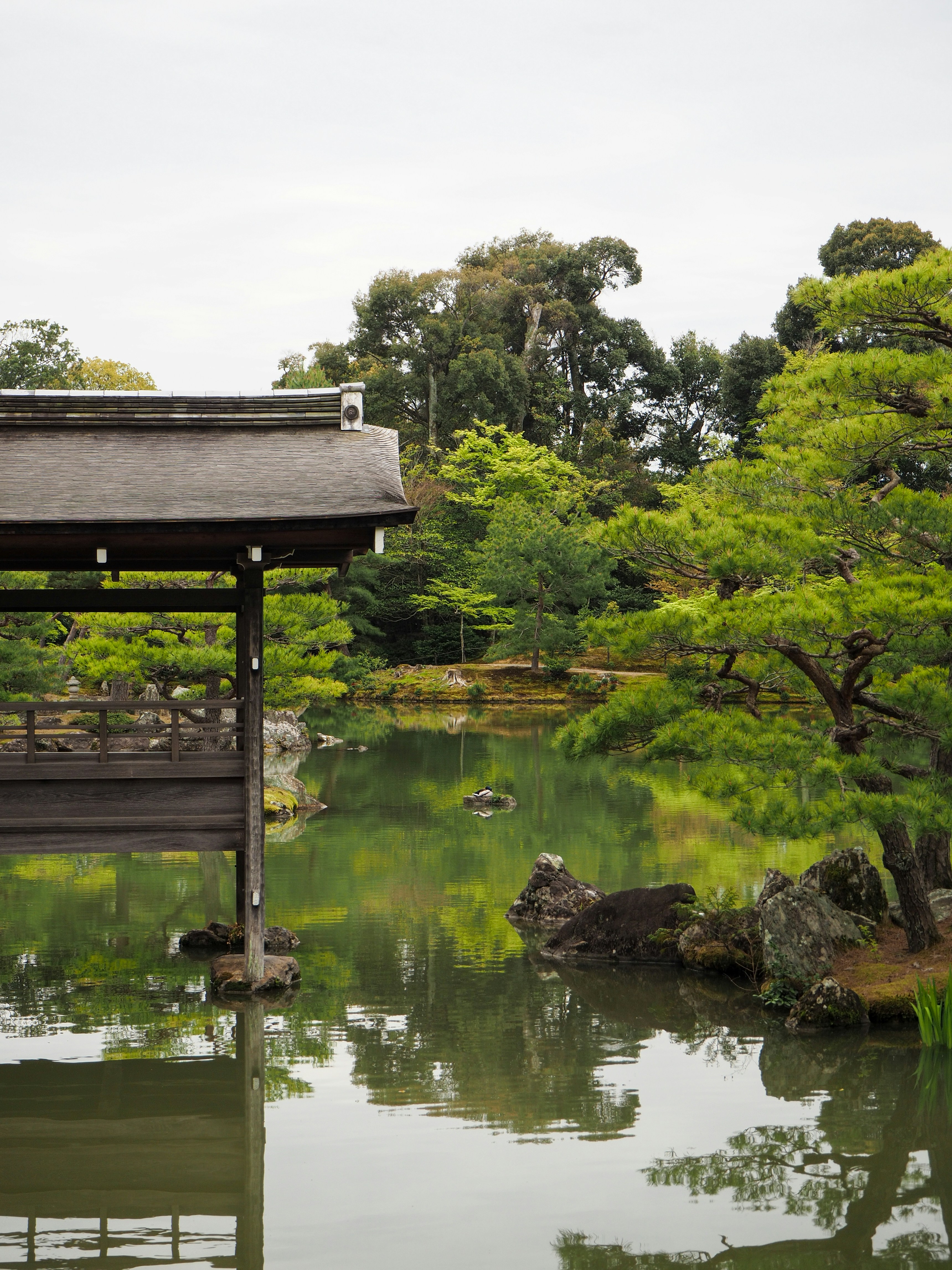 Serene Japanese Water Garden with Reflective Pond and Pavilion