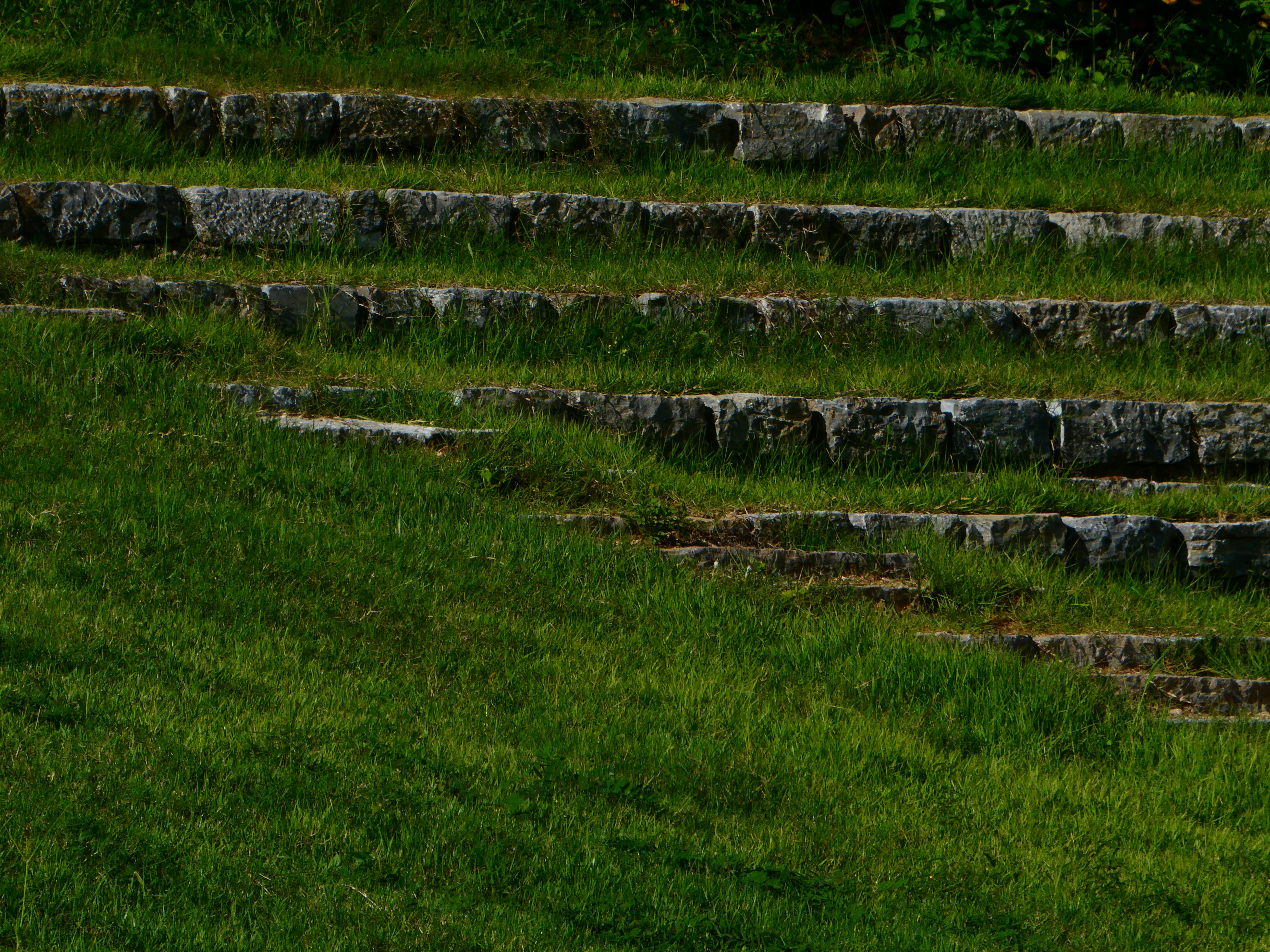 Stone Steps Ascend Through Grass in Quiet Terrace