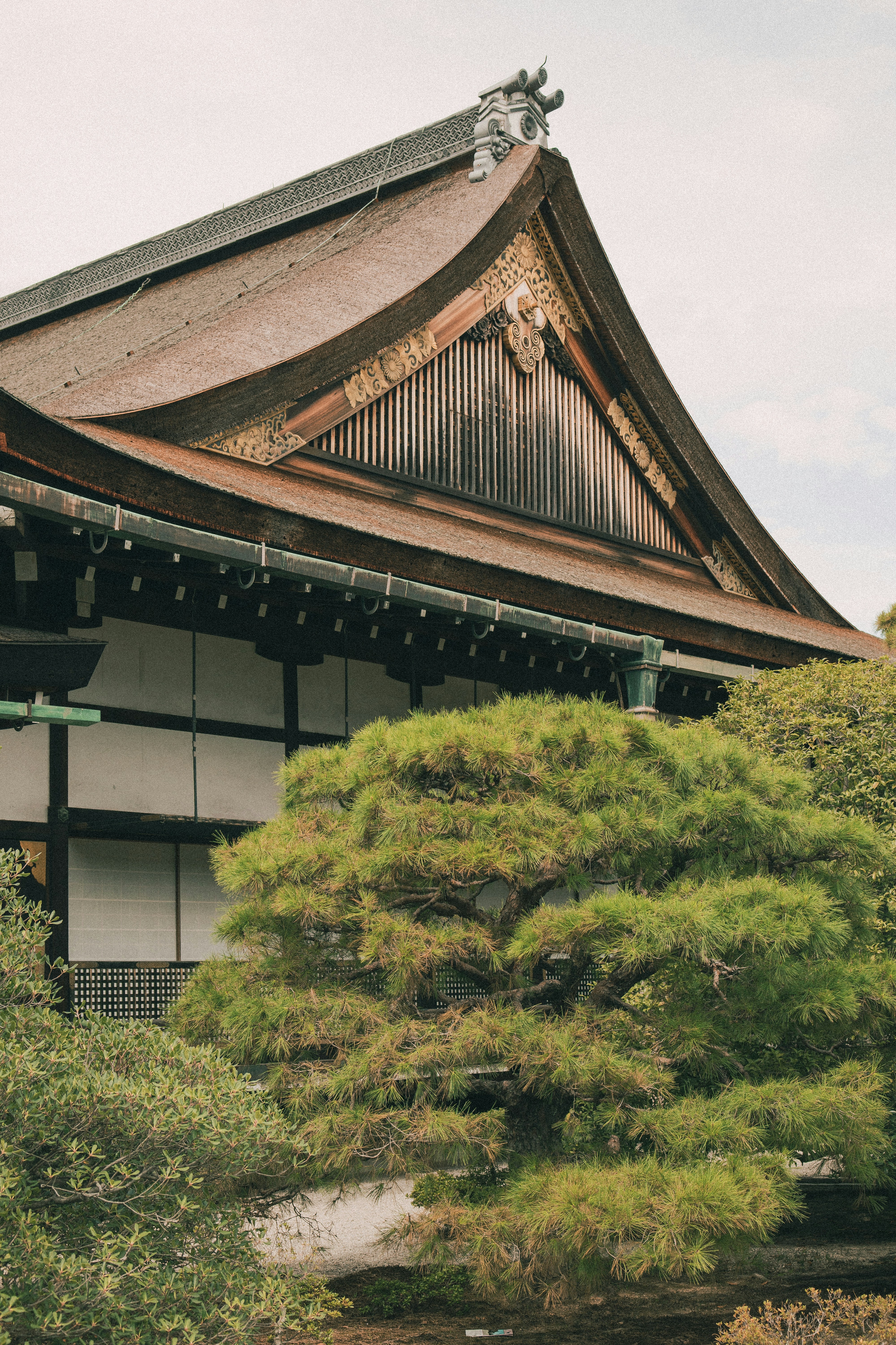 Temple Roofline in Quiet Garden