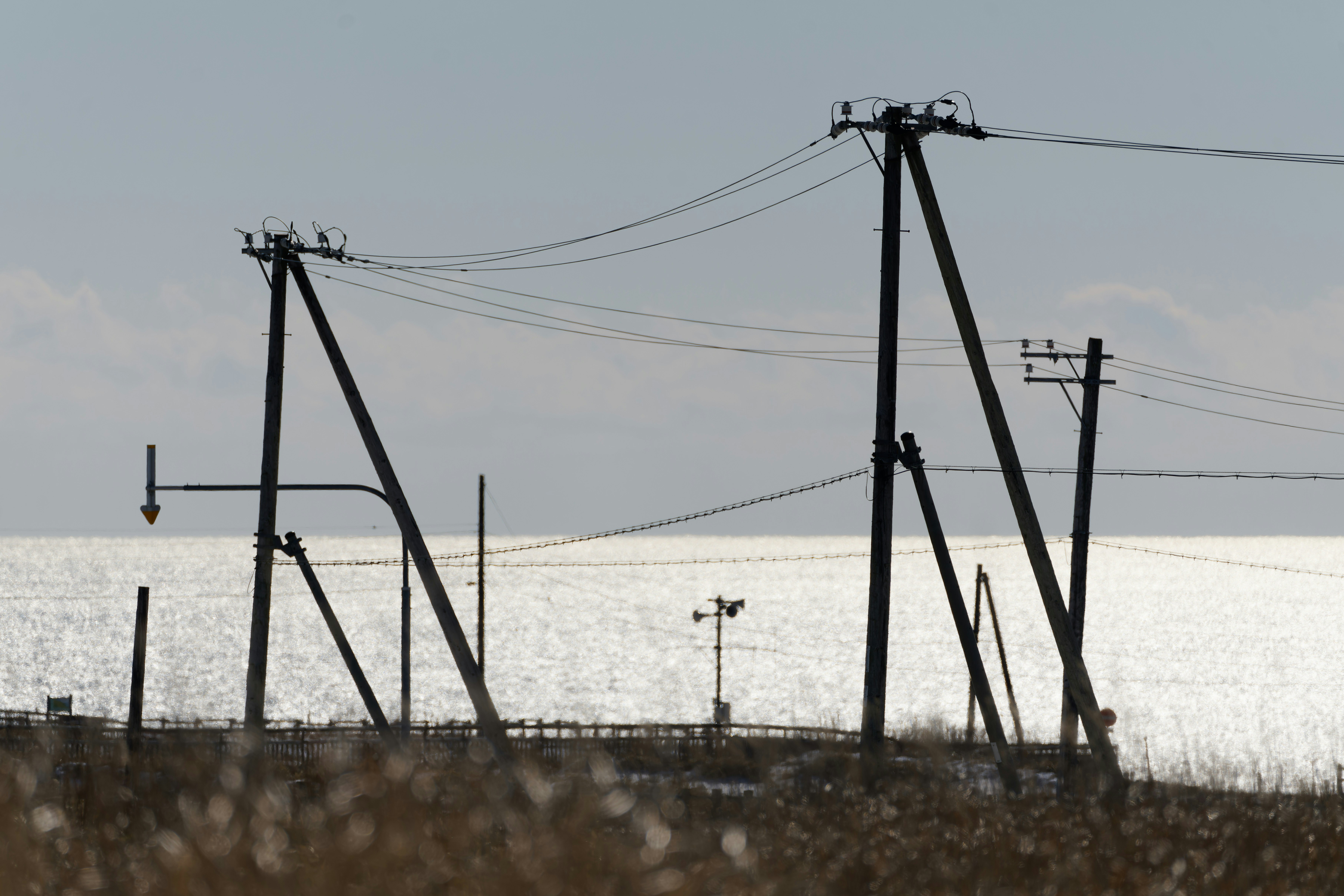 Silent Lattice: Power Lines Reaching Across a Shimmering Sea