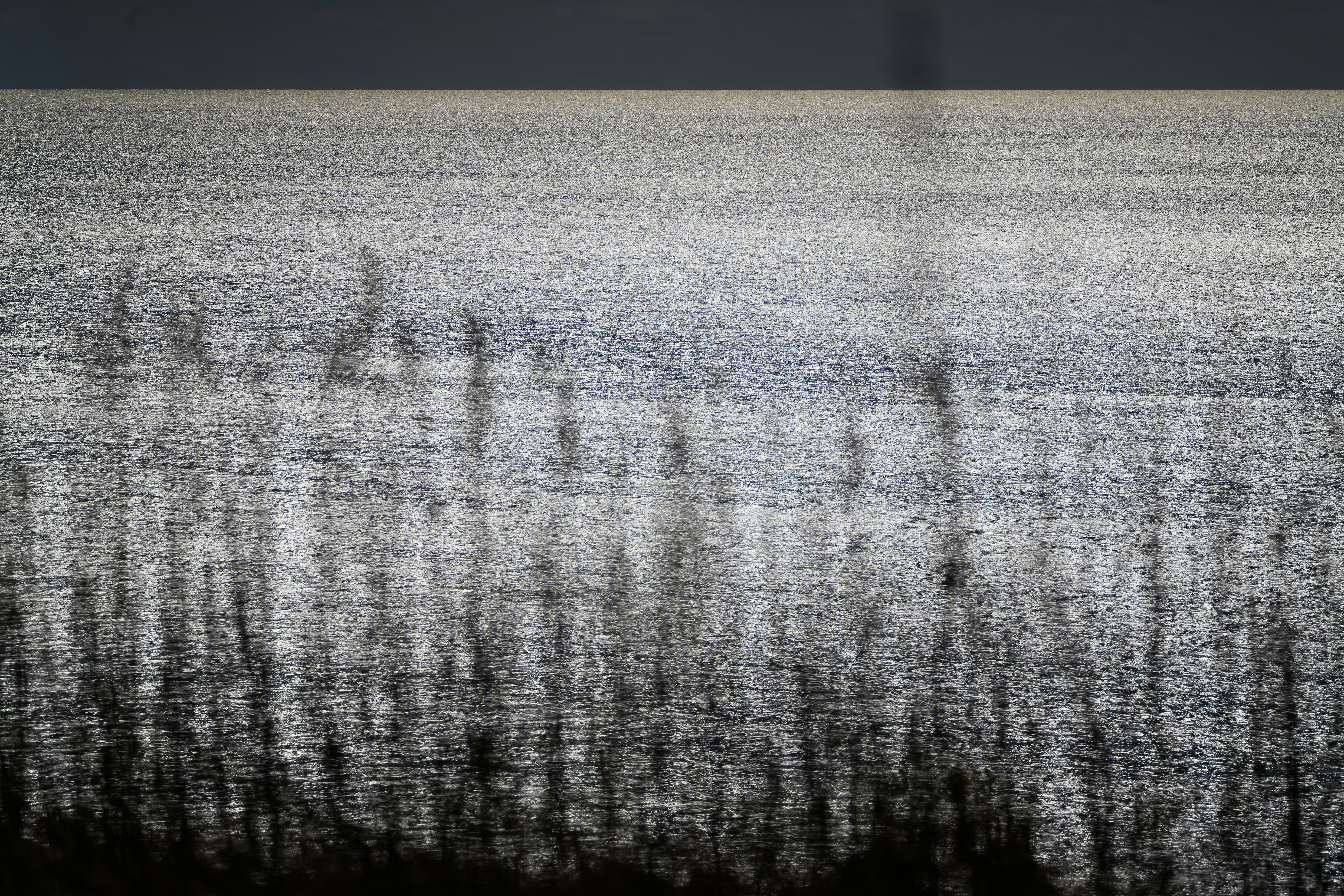 Misty shoreline silhouettes over rippled water at dawn