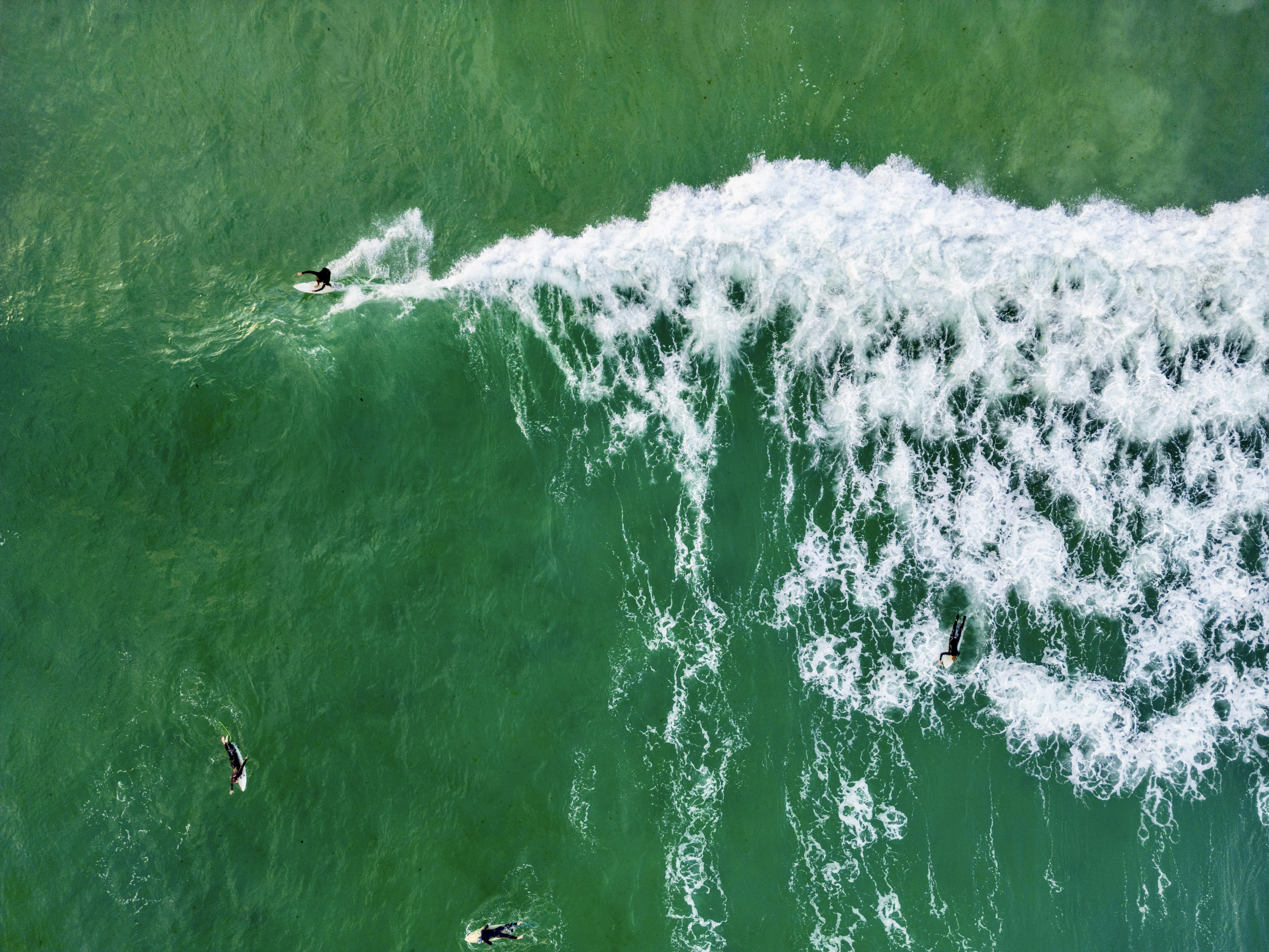 Emerald Wake: Surfers Cutting Through a Cyan Tongue