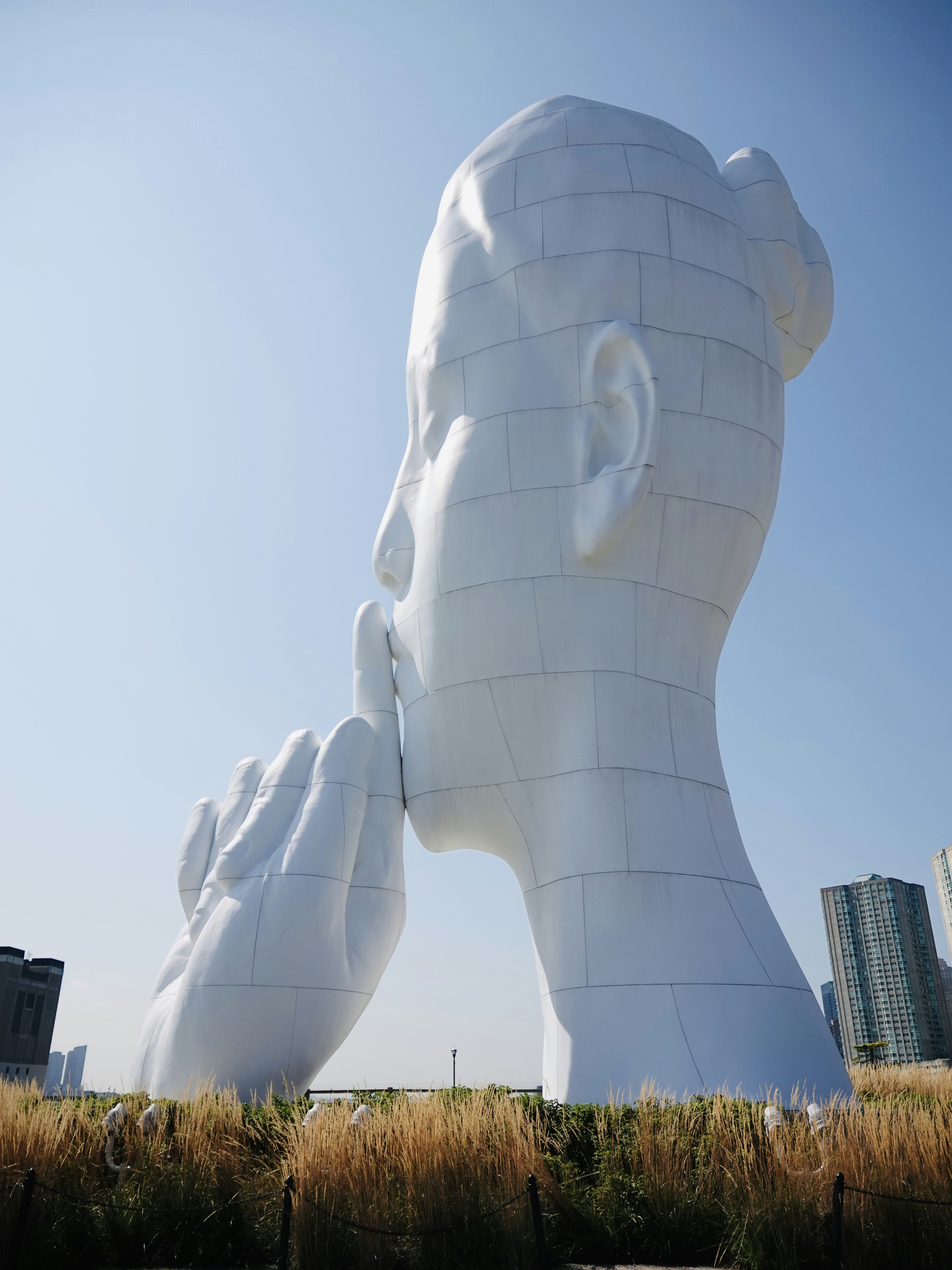 Giant Quiet: The Hands and Head of a Monumental Silhouette