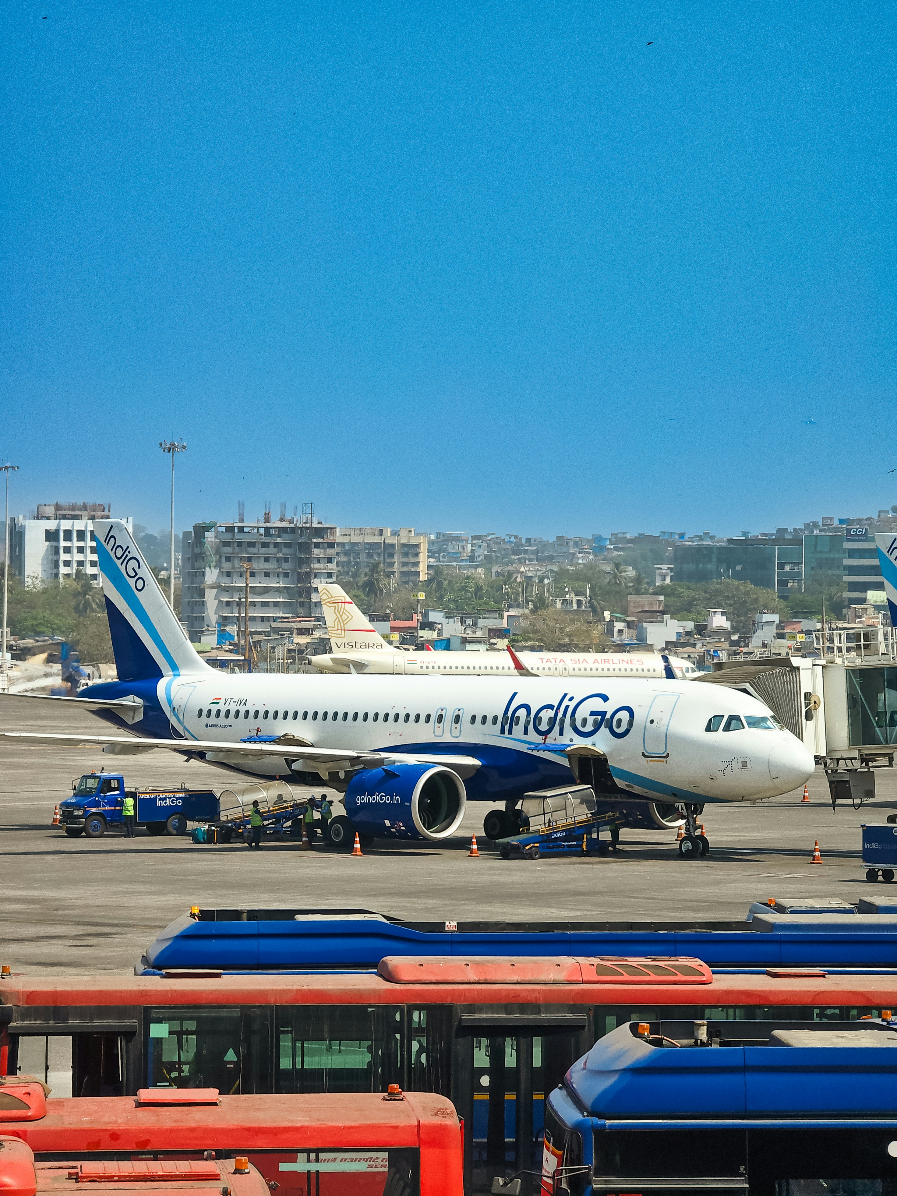 Indigo at the Gate: AJet at Dawn