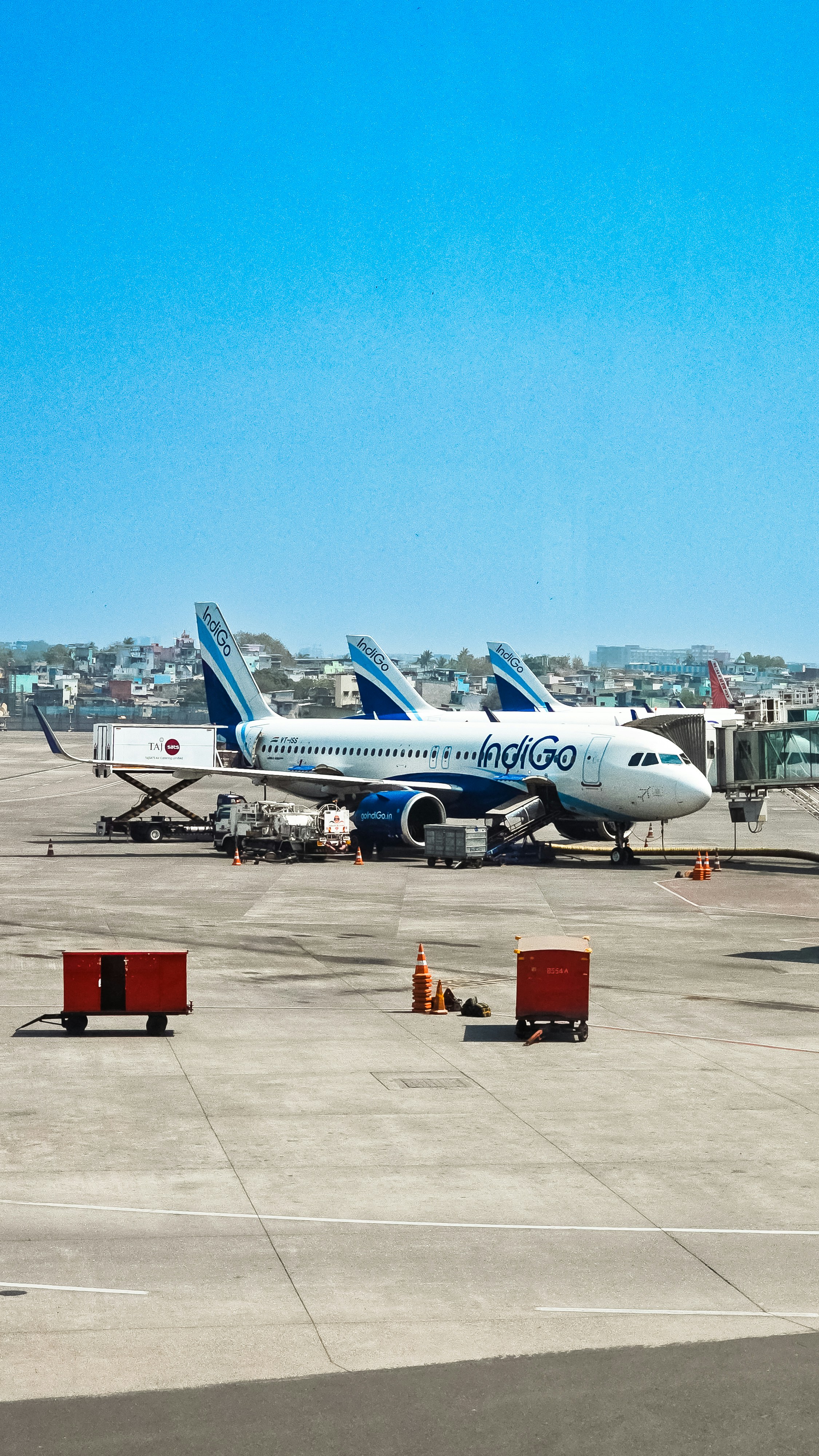 Indigo Wings at Gate: A Quiet Tarmac Moment