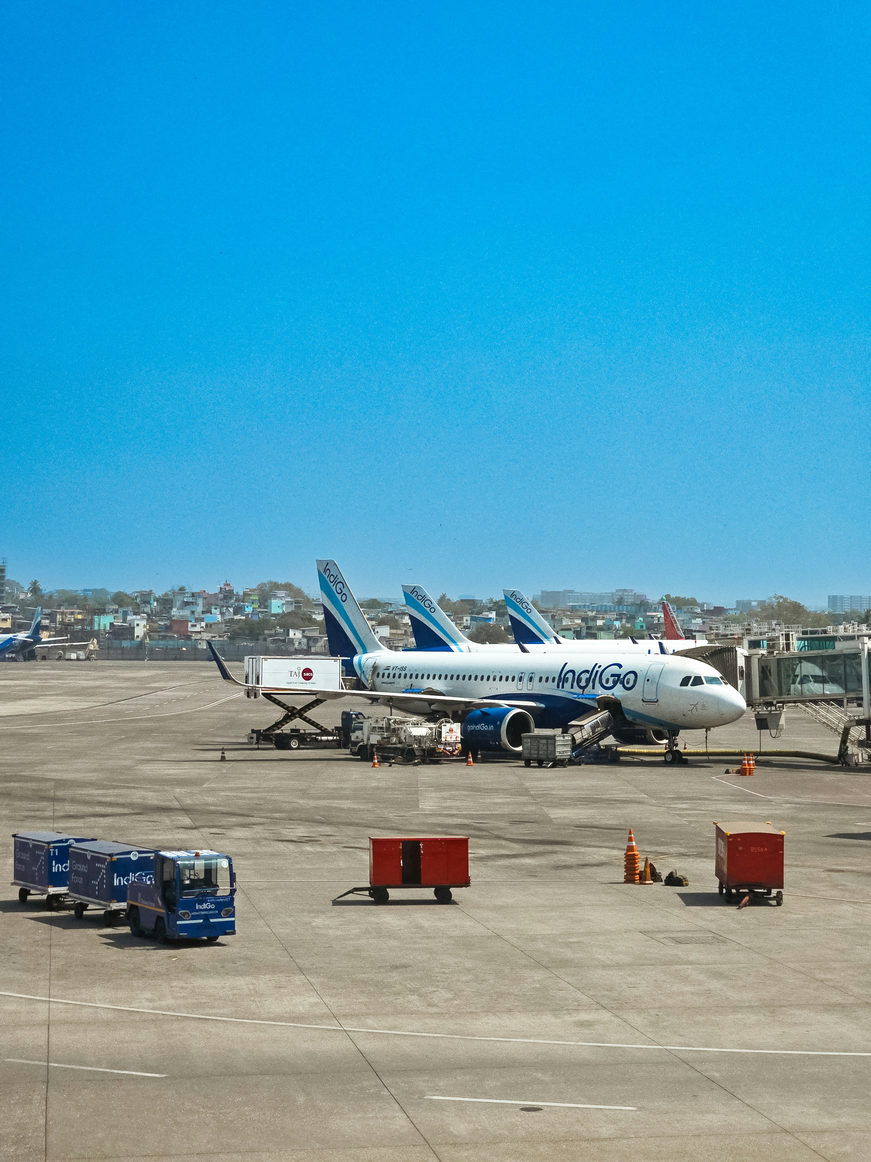 Indigo at the Gate: A Quiet Tarmac Morning