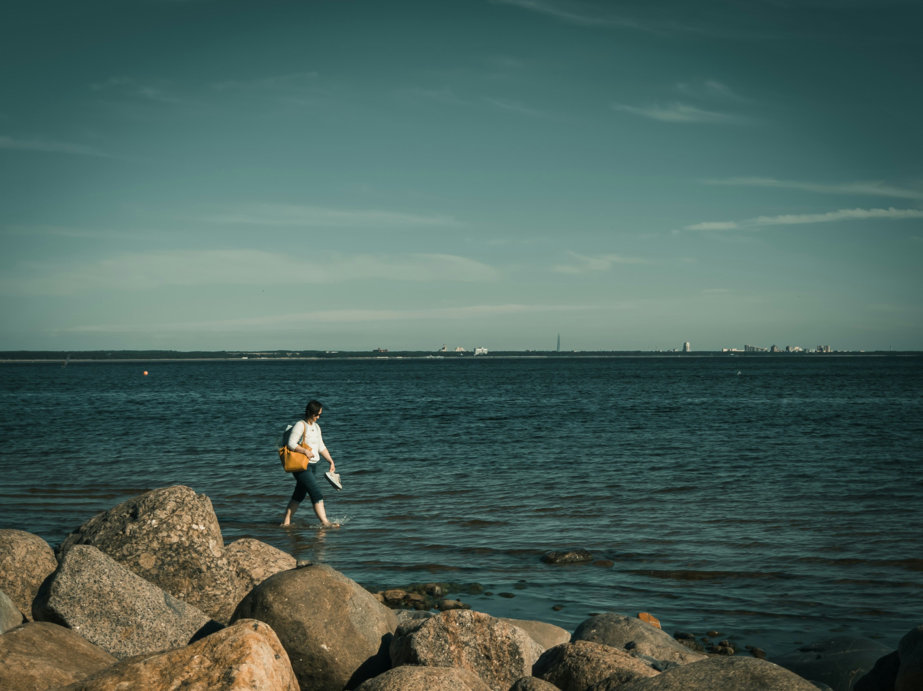 Solitary Wanderer Among Coastal Rocks