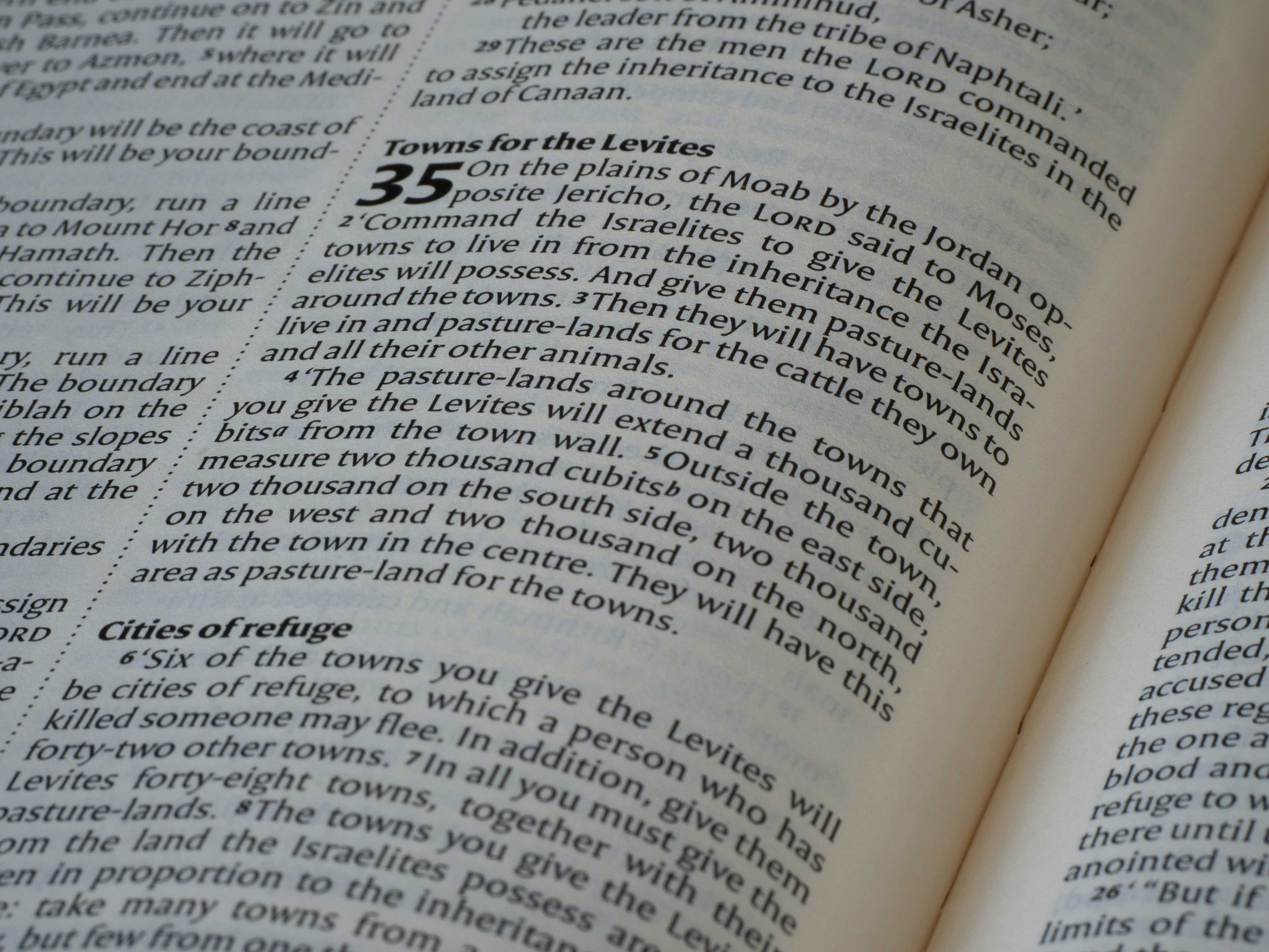 A Quiet Read: Old Pages Framing a Tightly Tracked Tale