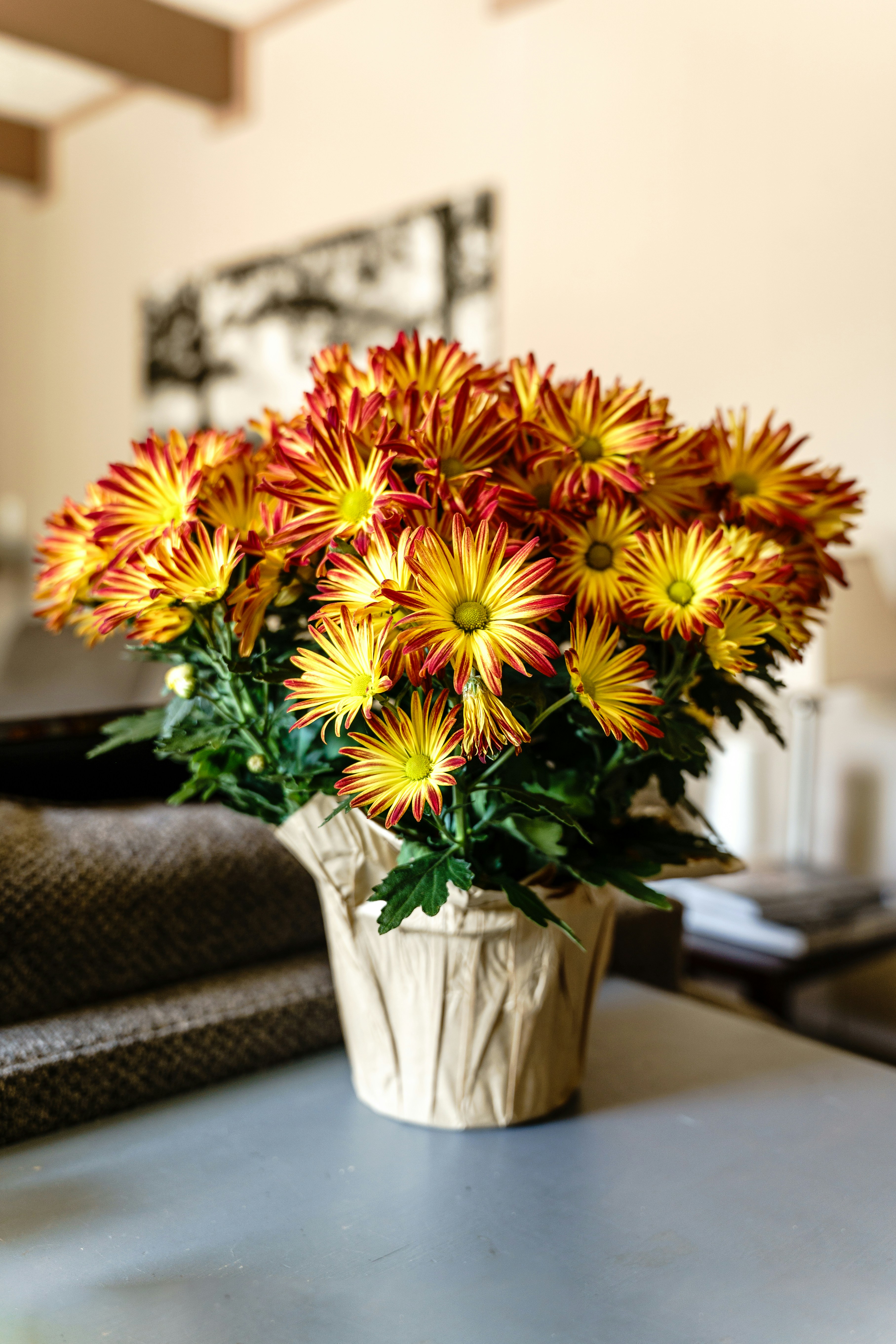 Sunlit Chrysanthemum Bouquet in a Crinkled Paper Vase