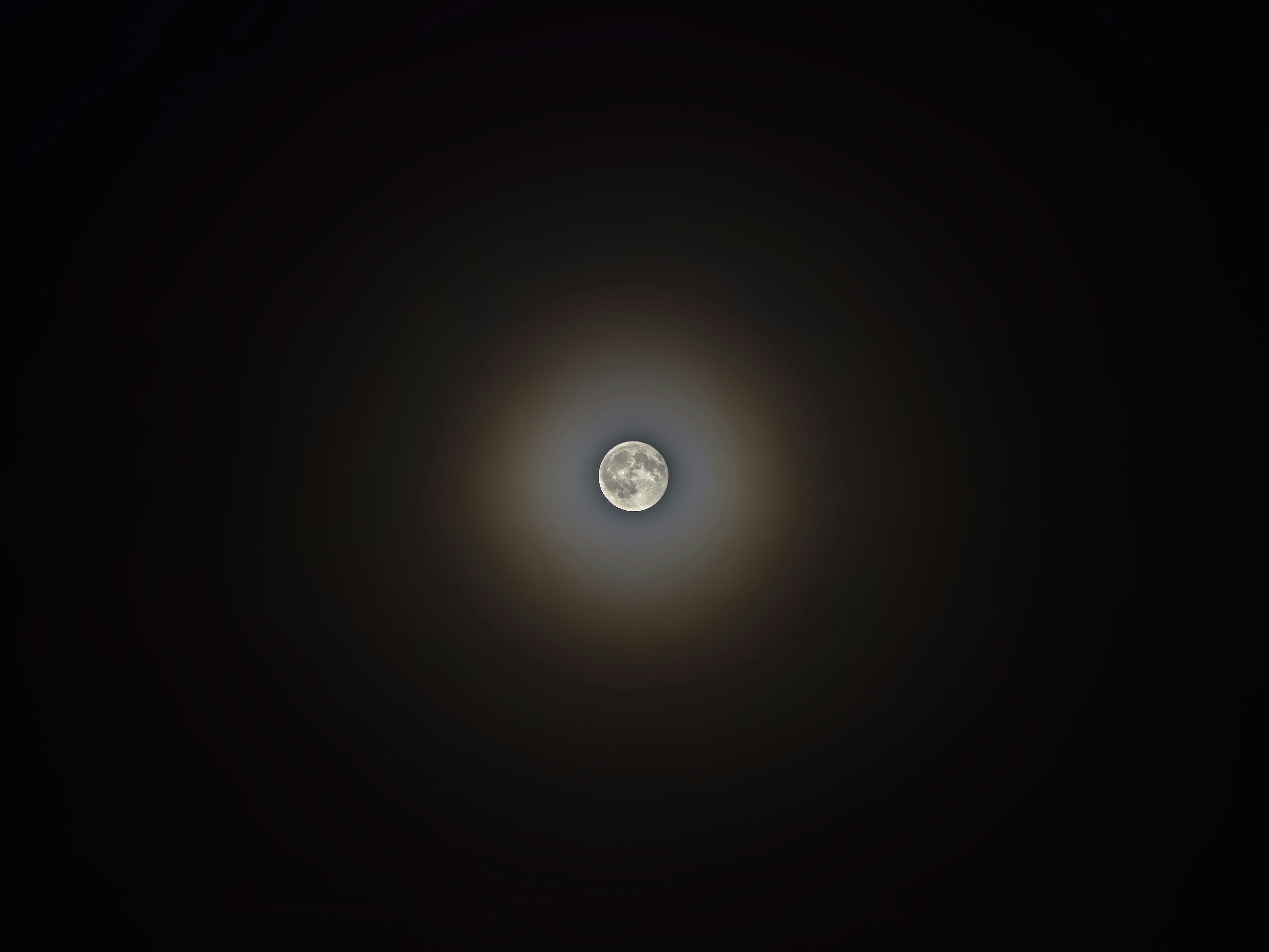 Lone Moon Casting a Quiet Halo in a Velvet Night