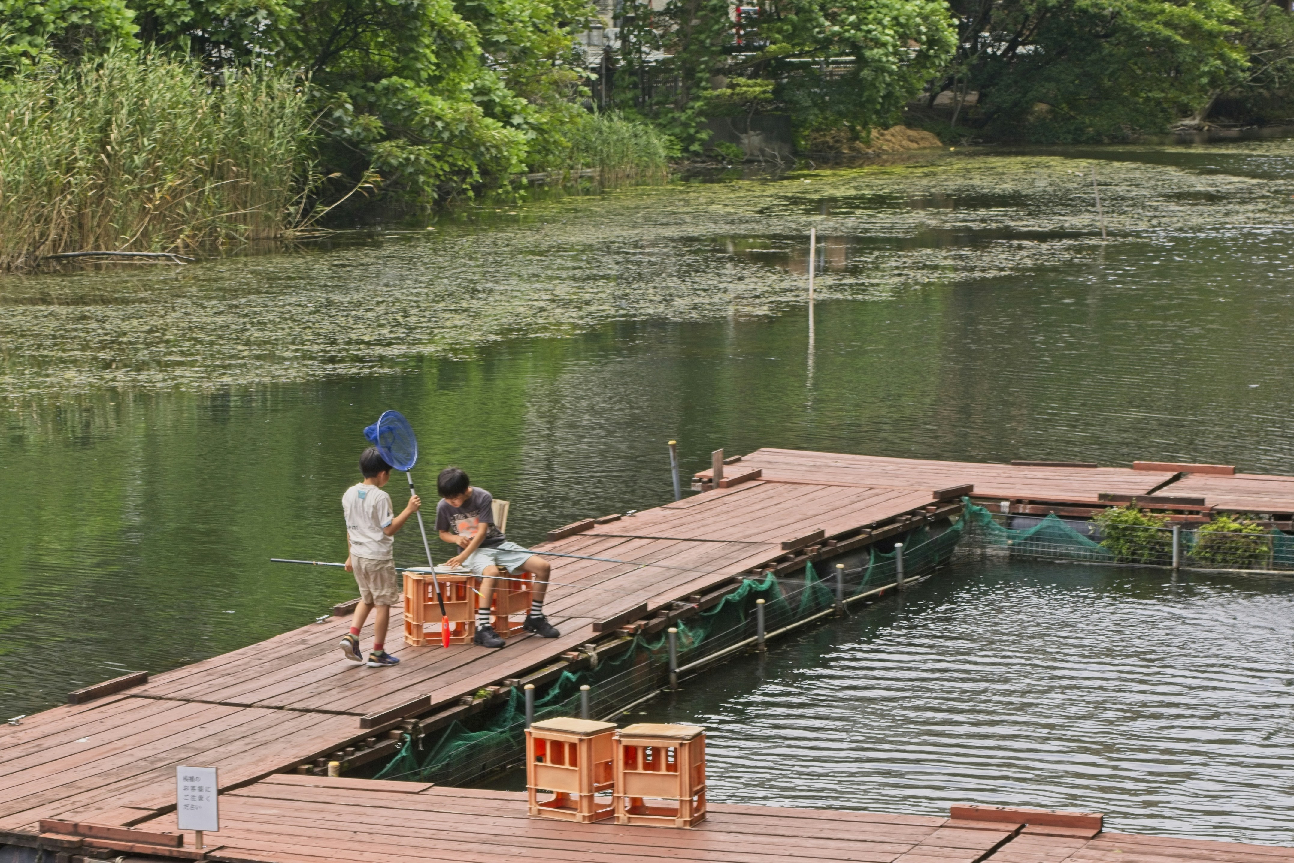Dockside Homework: Children Fishing on a Wooden Pier Over Quiet Water