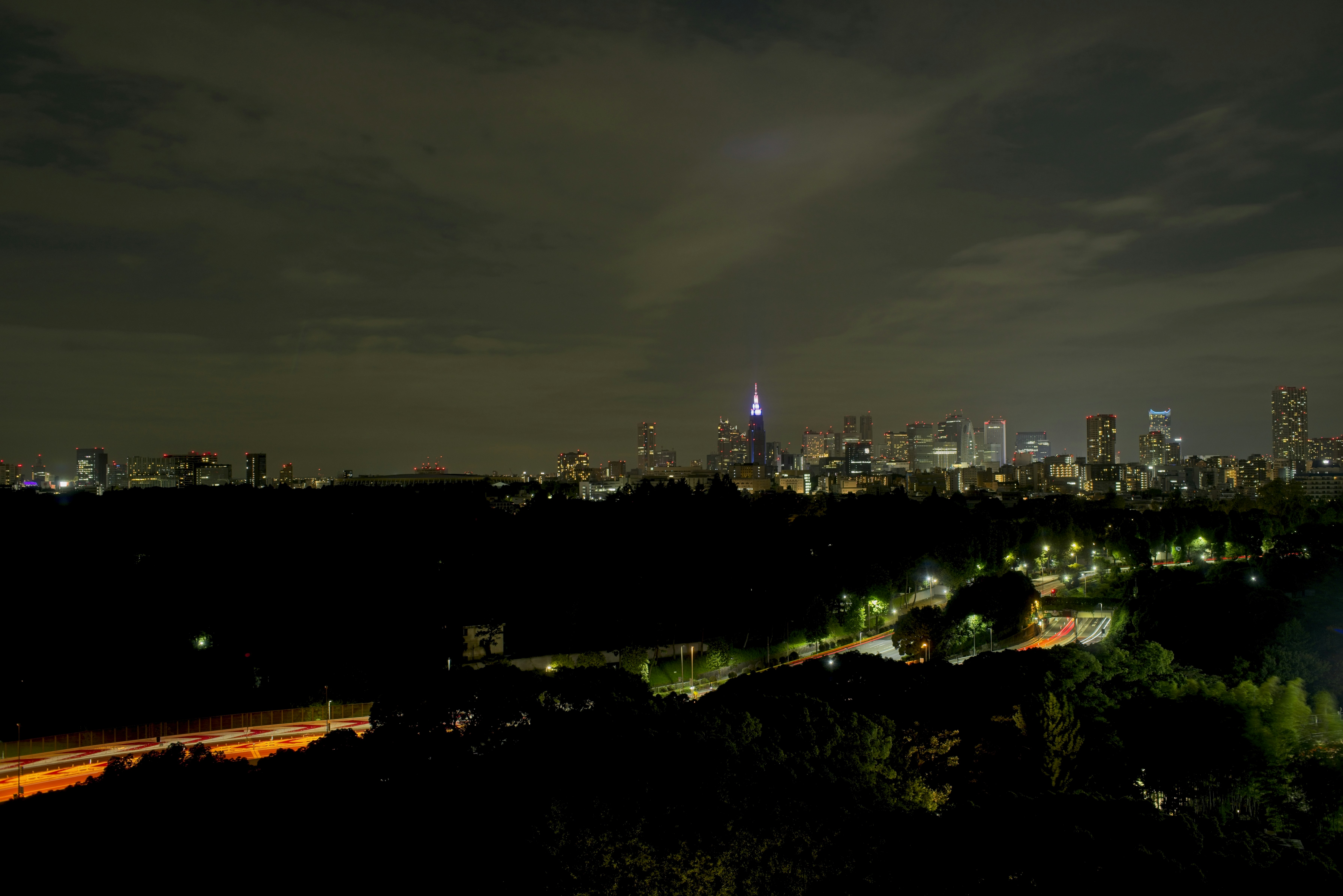 Midnight Skyline: City Lights Beyond a Quiet Park