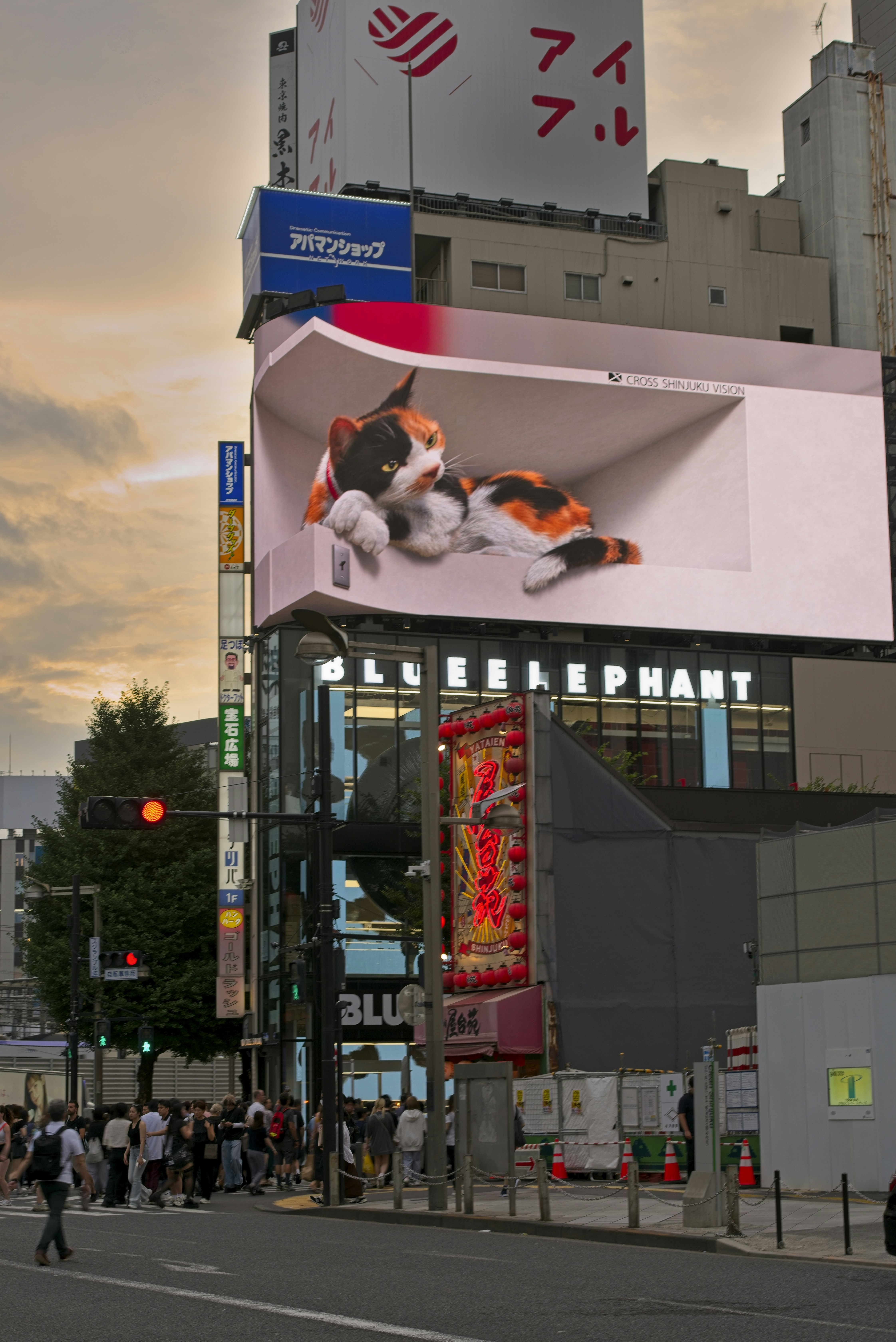 The famous 3D calico cat billboard at Cross Shinjuku Vision peers curiously from its illusionary box, dominating the building facade above the Blue Elephant storefront. Warm sunset light filters through partly grey clouds, casting a golden hue over the bustling intersection below, where pedestrians wait at a red light beneath tangled signage and neon accents. This iconic hyper-realistic digital display captures Shinjuku's blend of cutting-edge technology and street-level energy during a hot July evening in Tokyo.