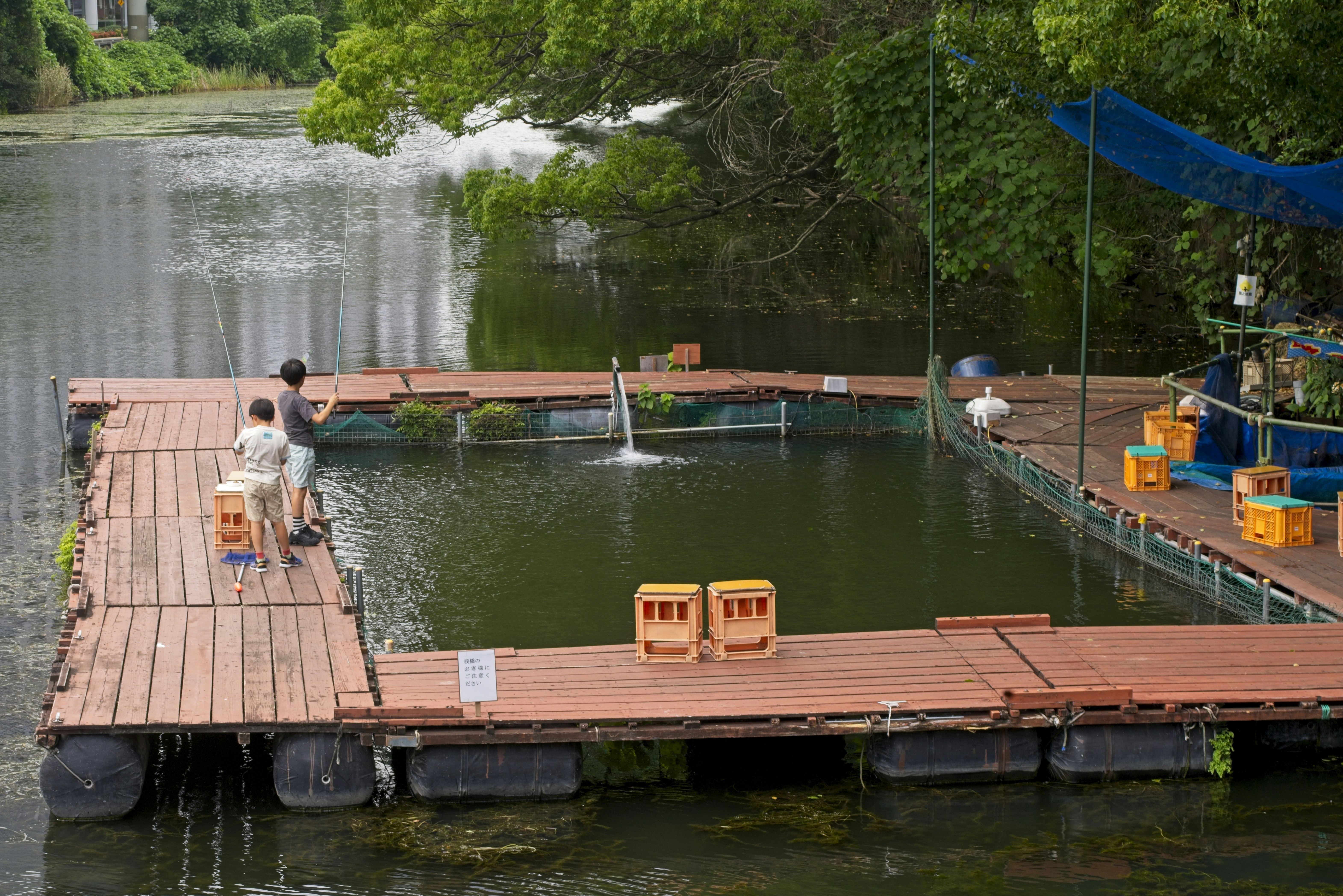 Children on a wooden dock fishing at a calm riverside pond