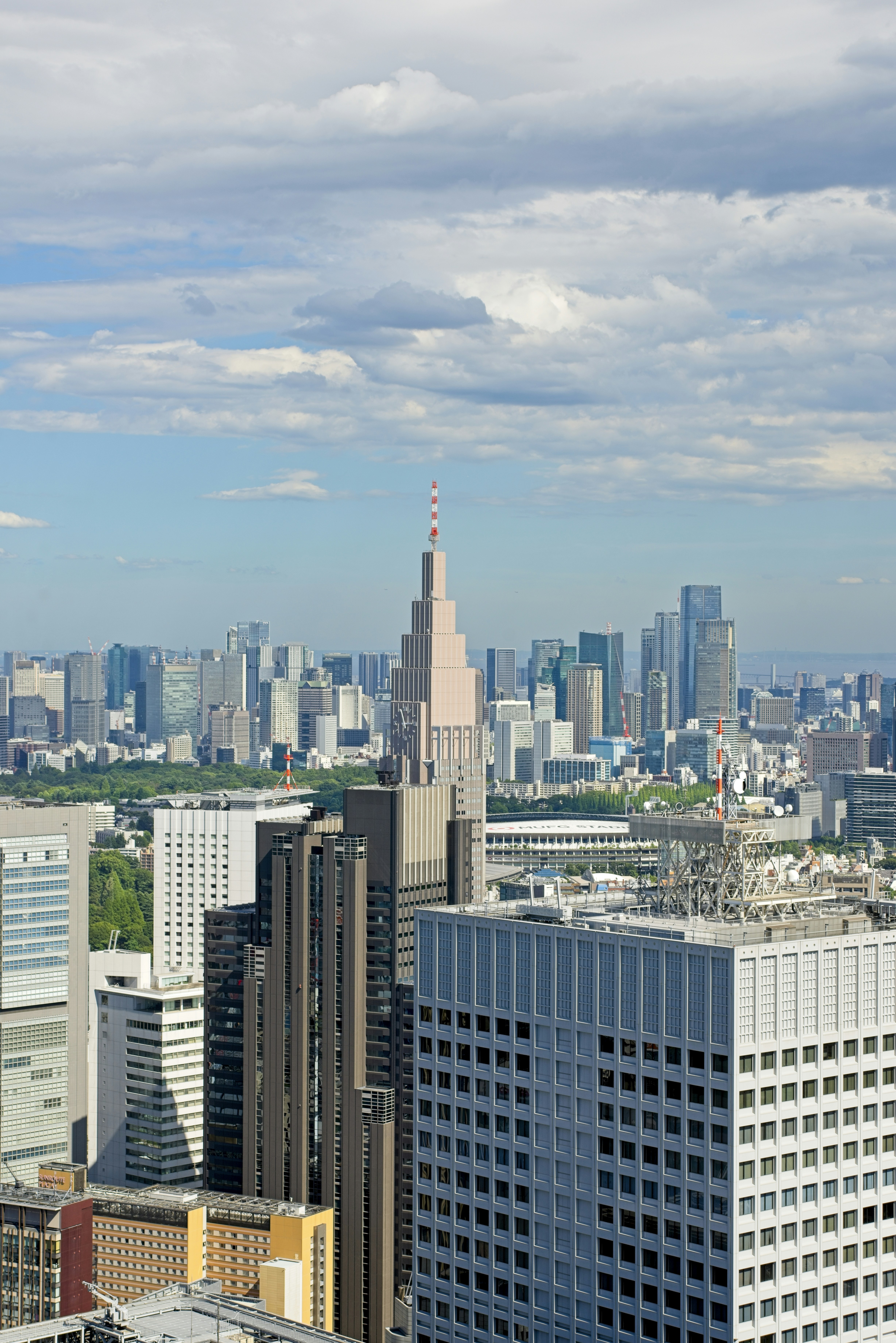 Urban Crown: Tokyo-like Skyline Pierced by a Tower