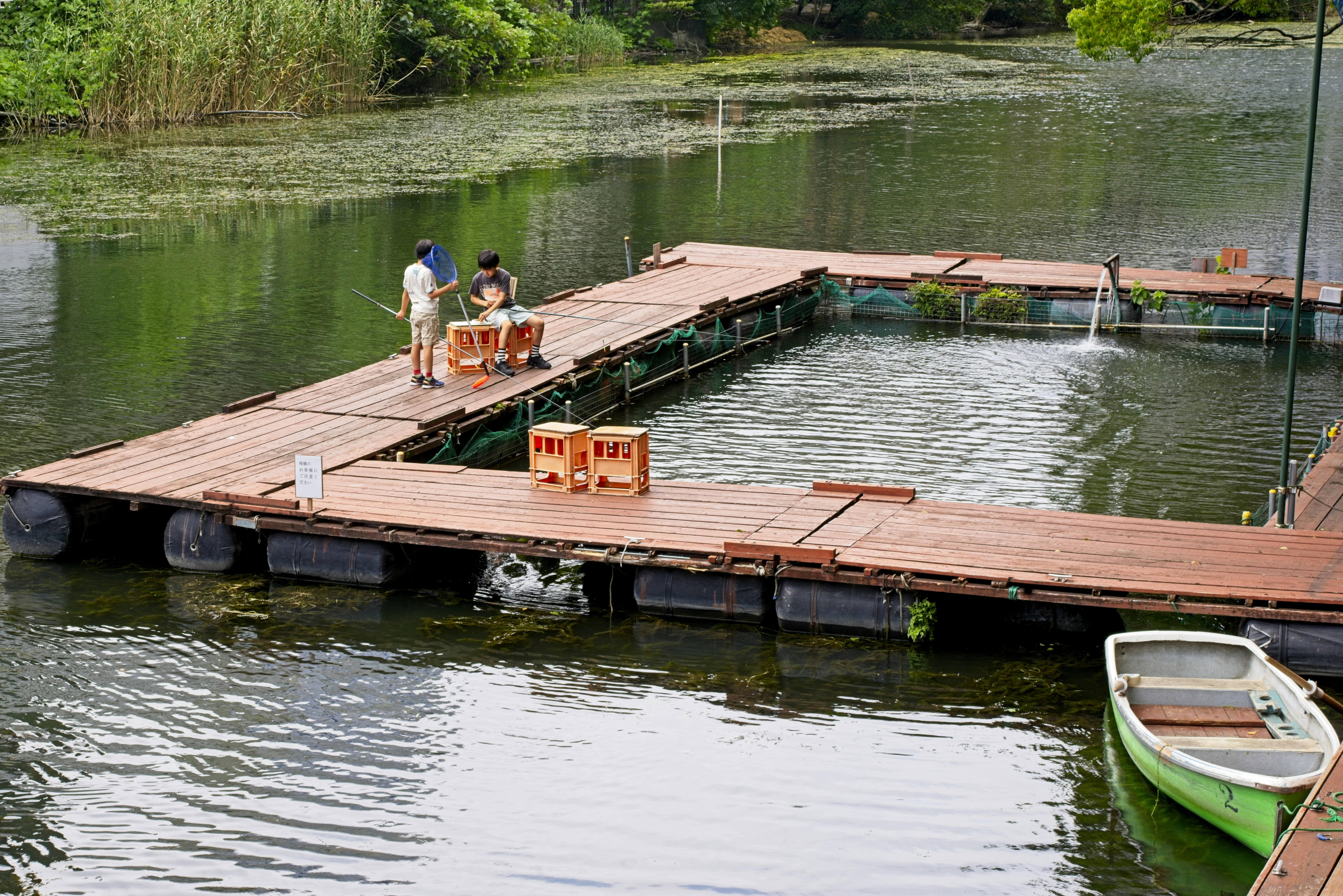 Two boys stand on a wooden floating dock at Benkeibashi Boat Pier, one holding a net and the other fishing with a rod, surrounded by a calm, algae-tinged pond. A small fountain sprays water nearby, while a green rowboat rests moored beside the dock. Lush reeds and greenery line the shoreline in the background. The peaceful scene captures a moment of childhood recreation on the water, offering a quiet retreat from Tokyo's urban bustle during a warm, humid July afternoon.
