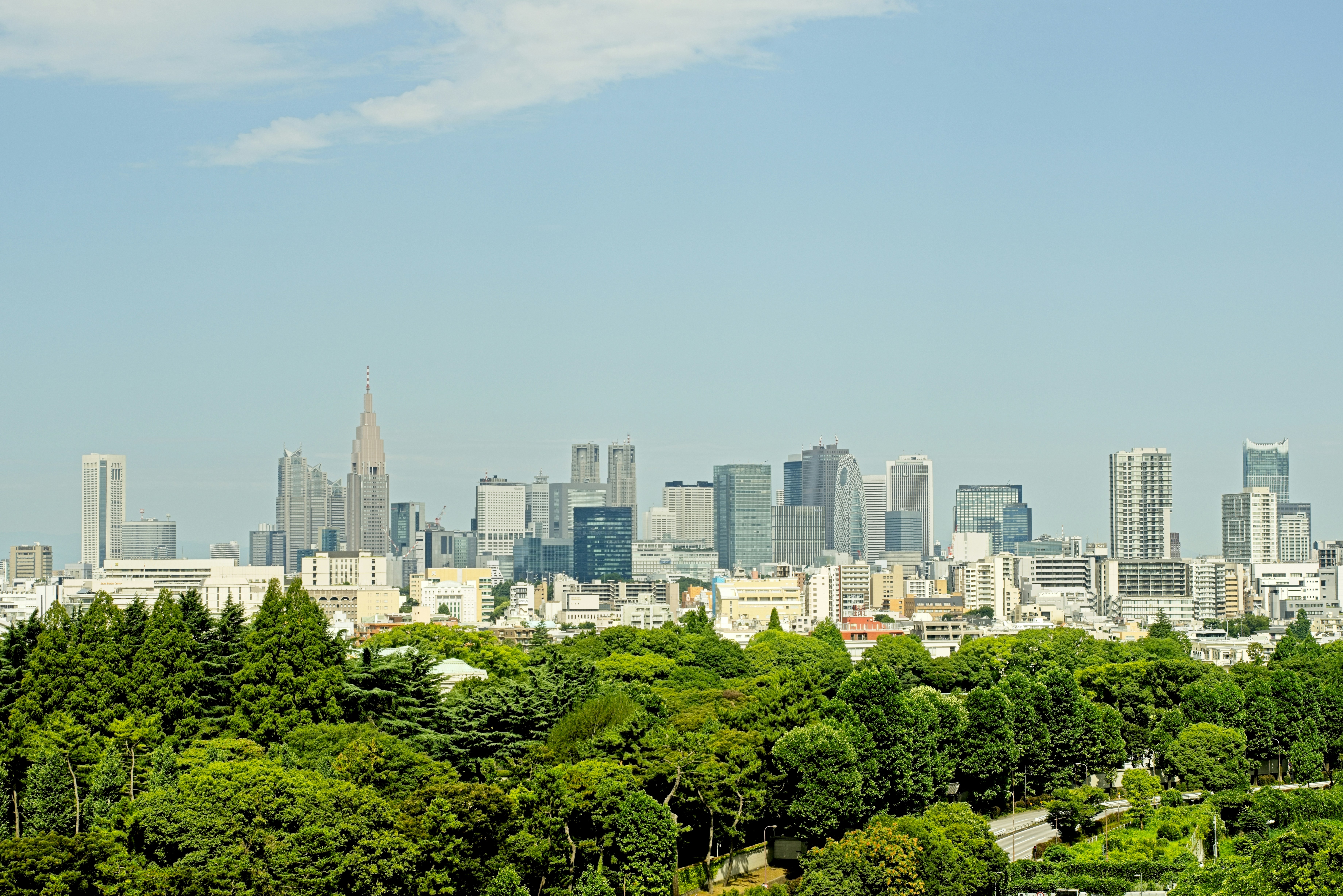 Urban Canopy: A Cityscape Framed by Verdant Hills
