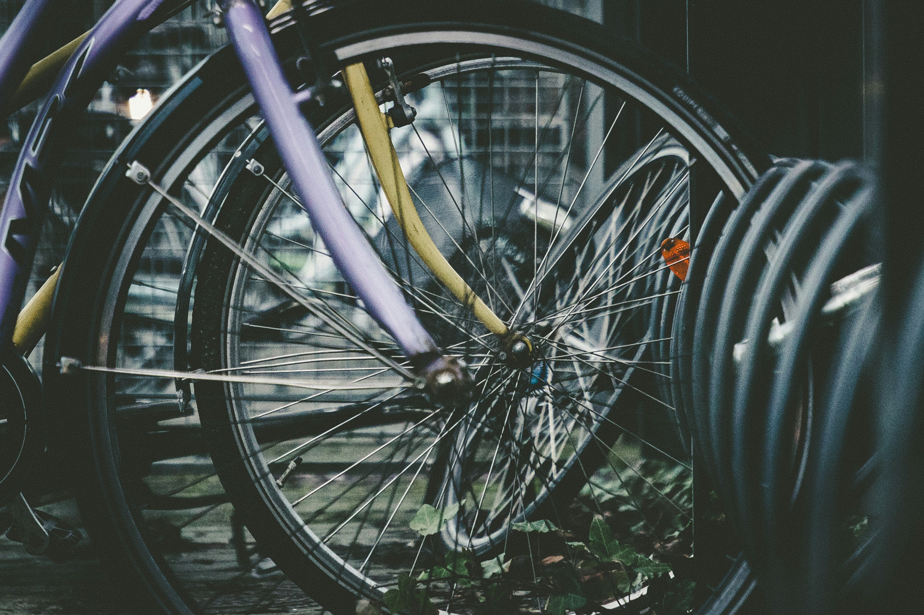 Bicycle Wheelography: A Close-up of Spokes and Color-Shafted Frame