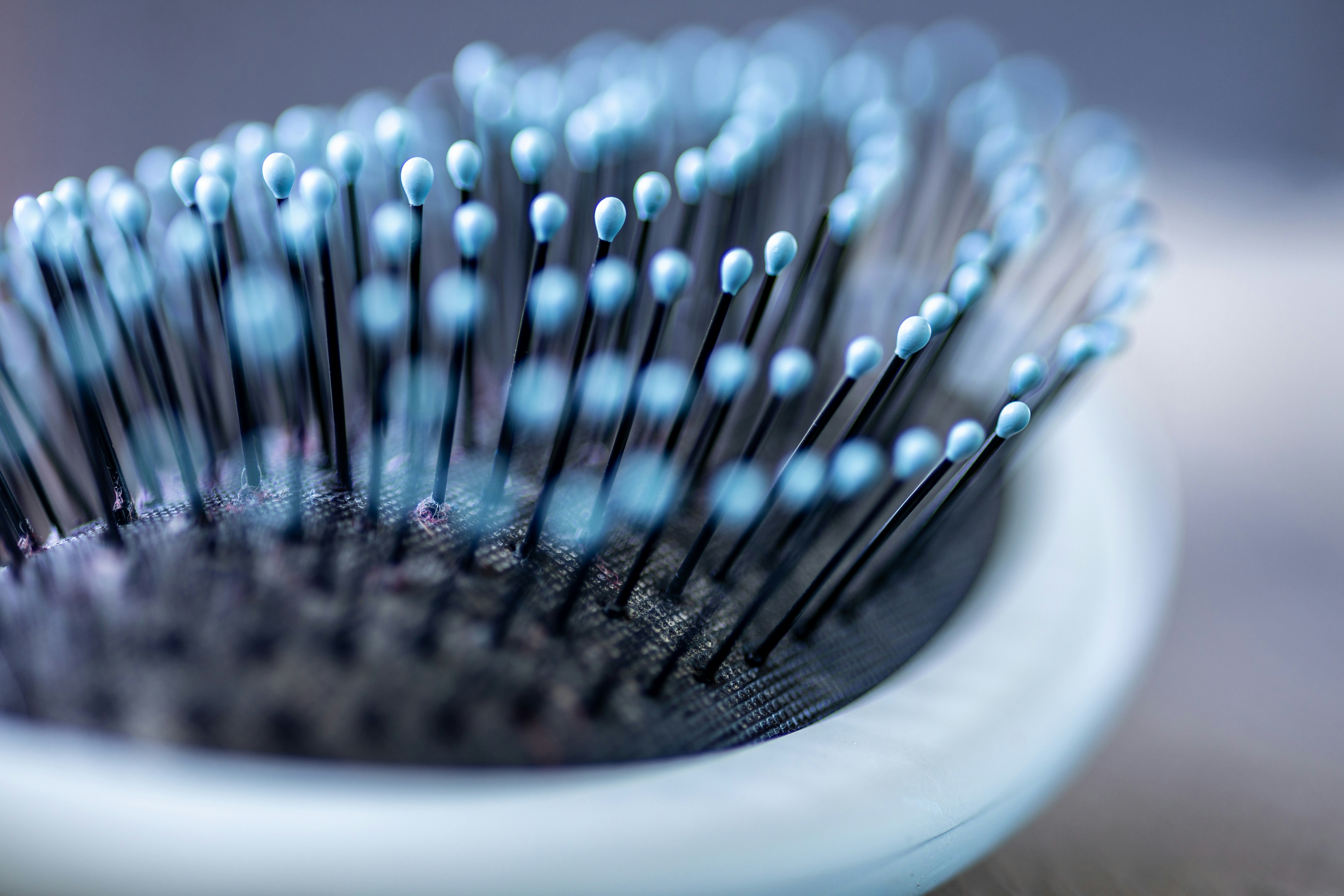 Close-up Spotlight: A Field of Blue-tipped Pins