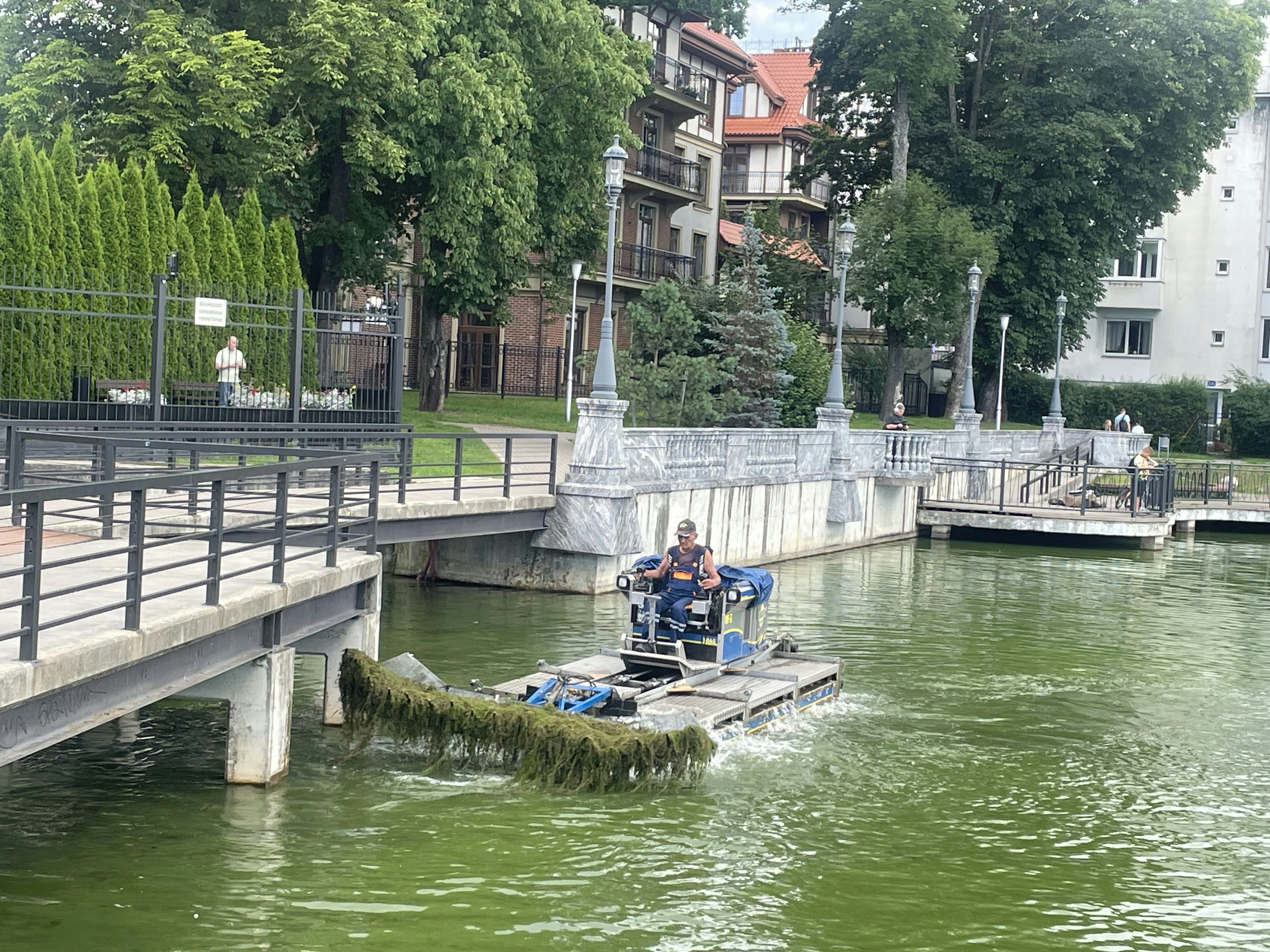Green Canal Barge at the Urban Edge