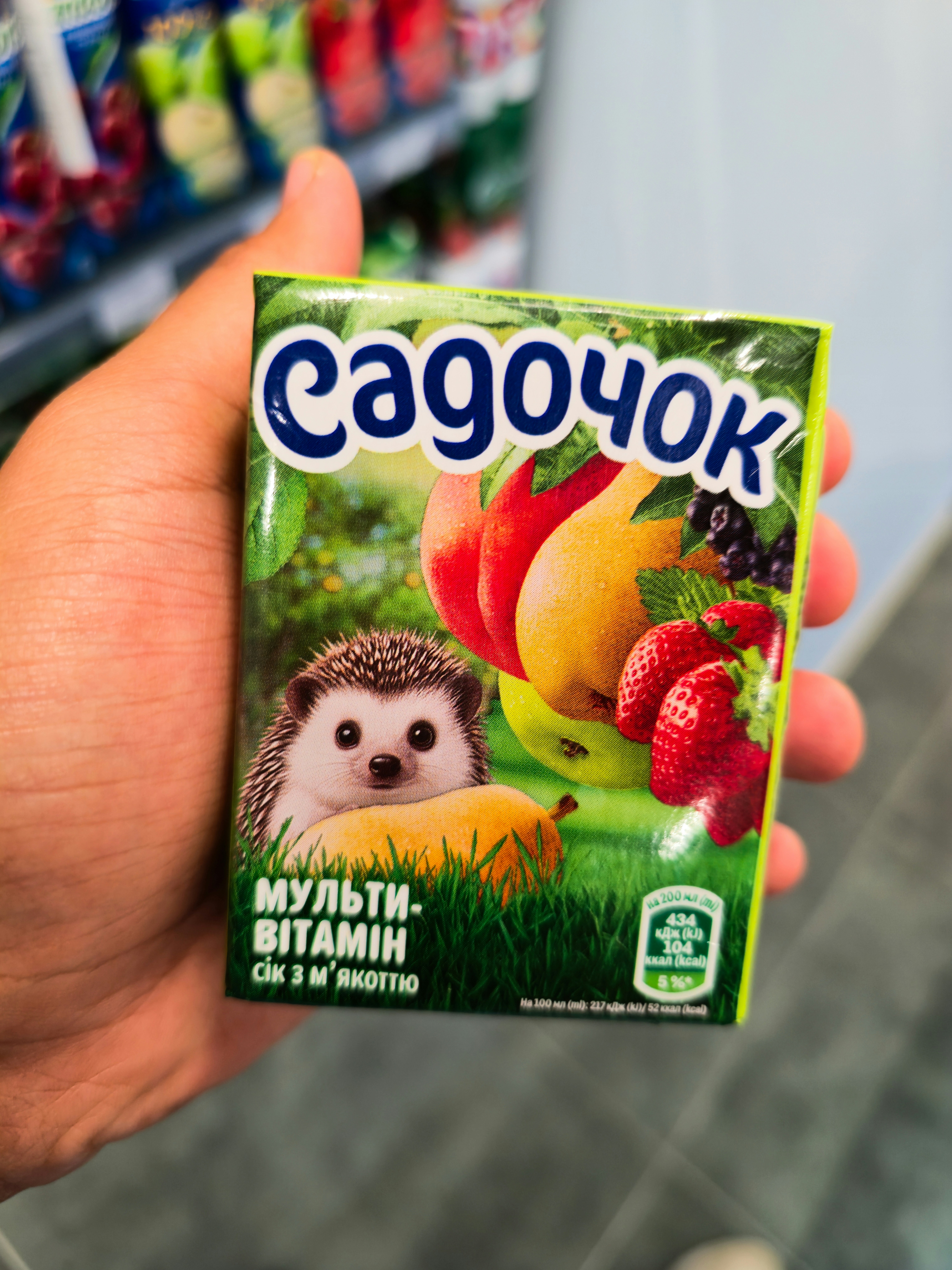 Juice Box Surprise: A Hedgehog Portrait on a Colorful Carton