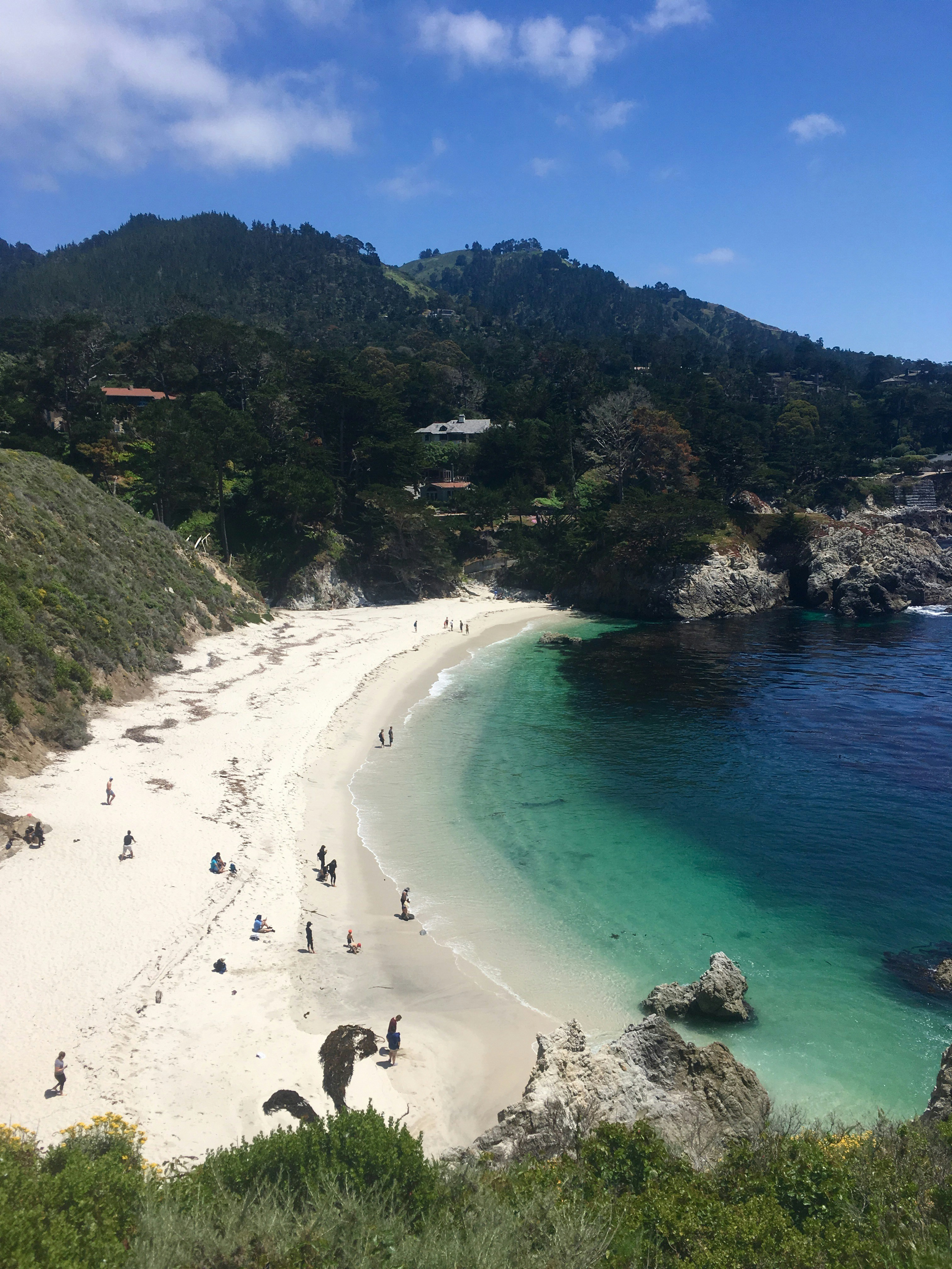 Curved White Sand Cove Under a Forested Headland