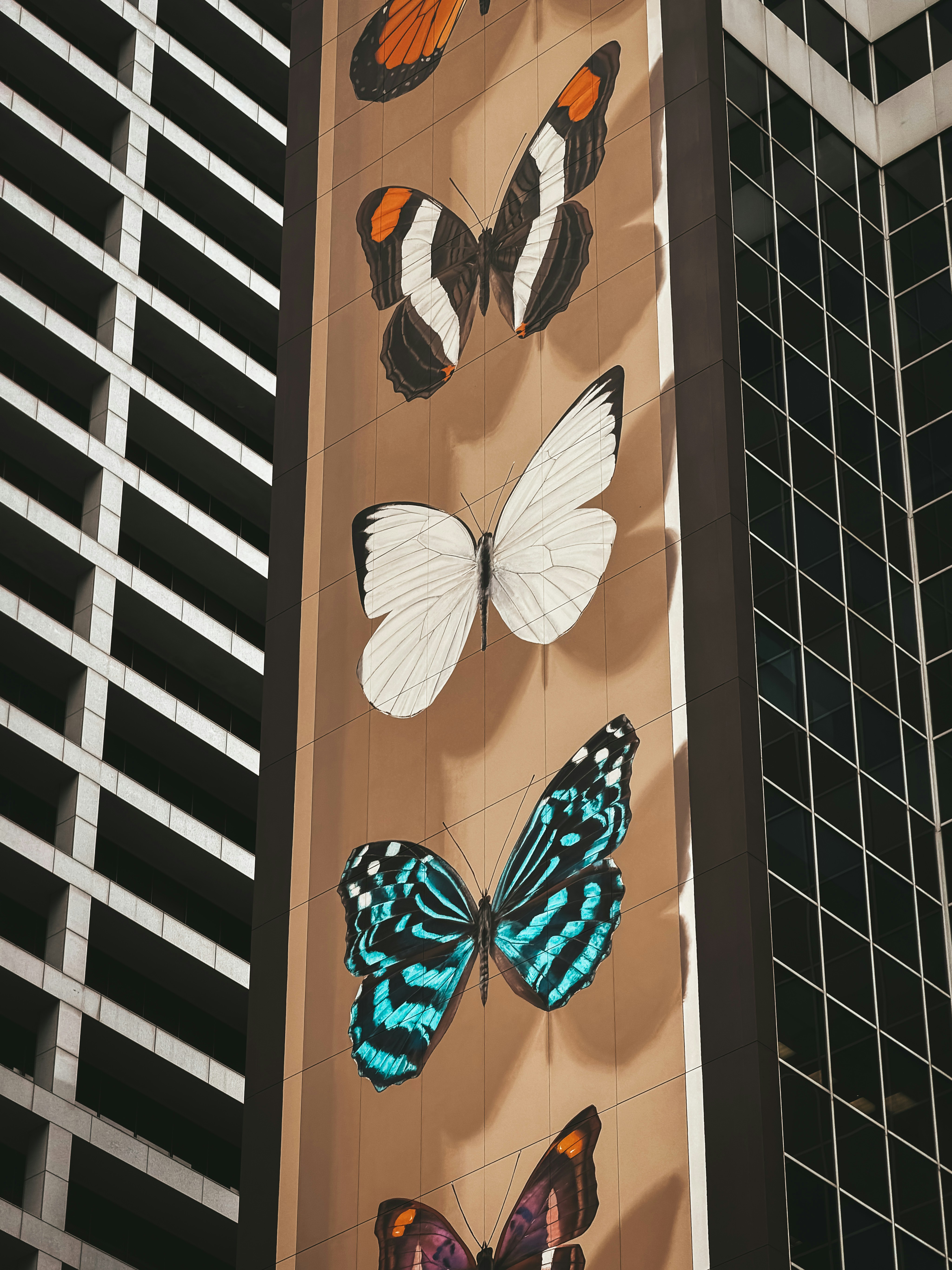 Vertical Gallery: Butterflies Adorning a Modern Facade