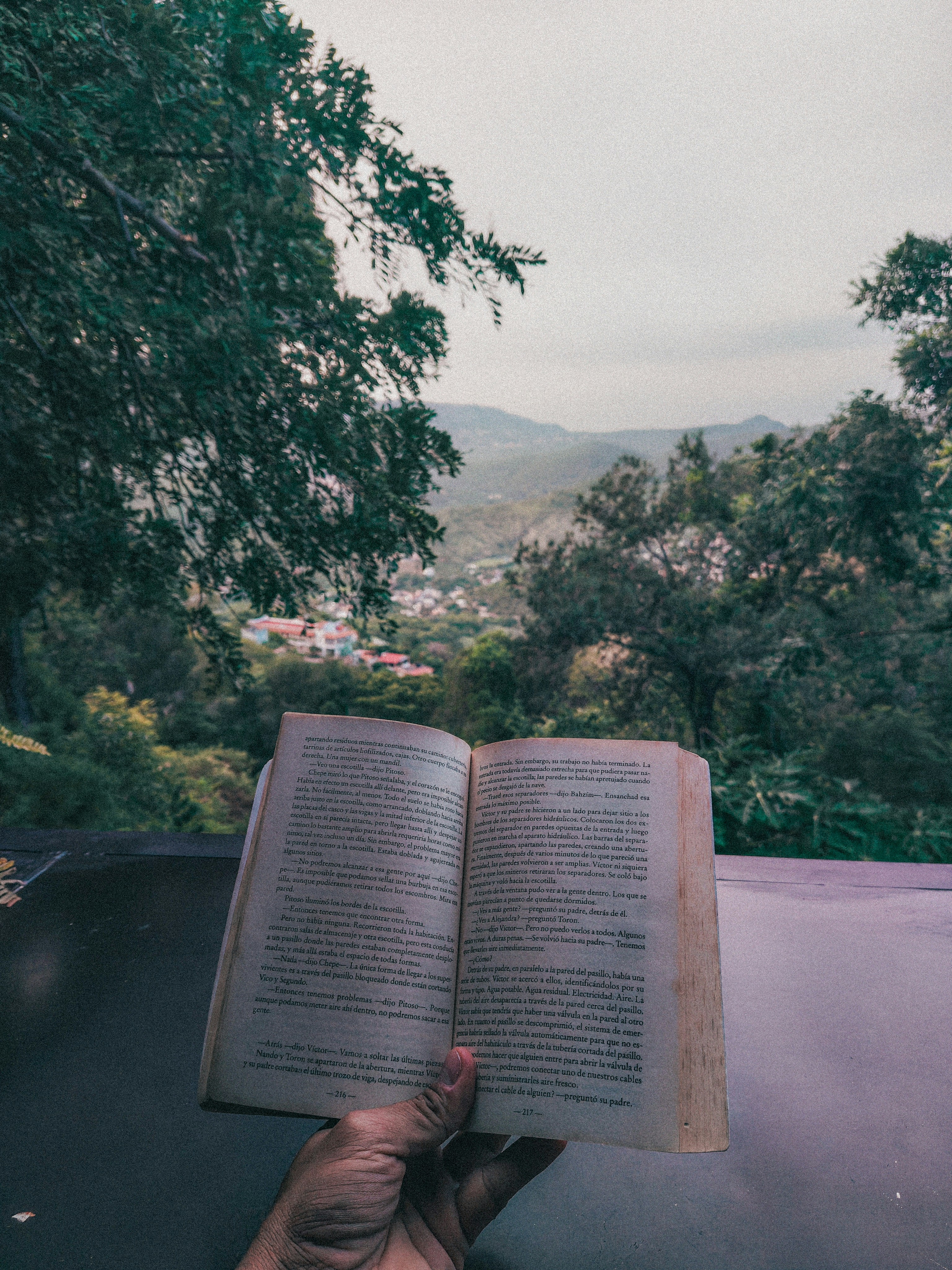 A person holding an open book against a backdrop of trees and distant hills