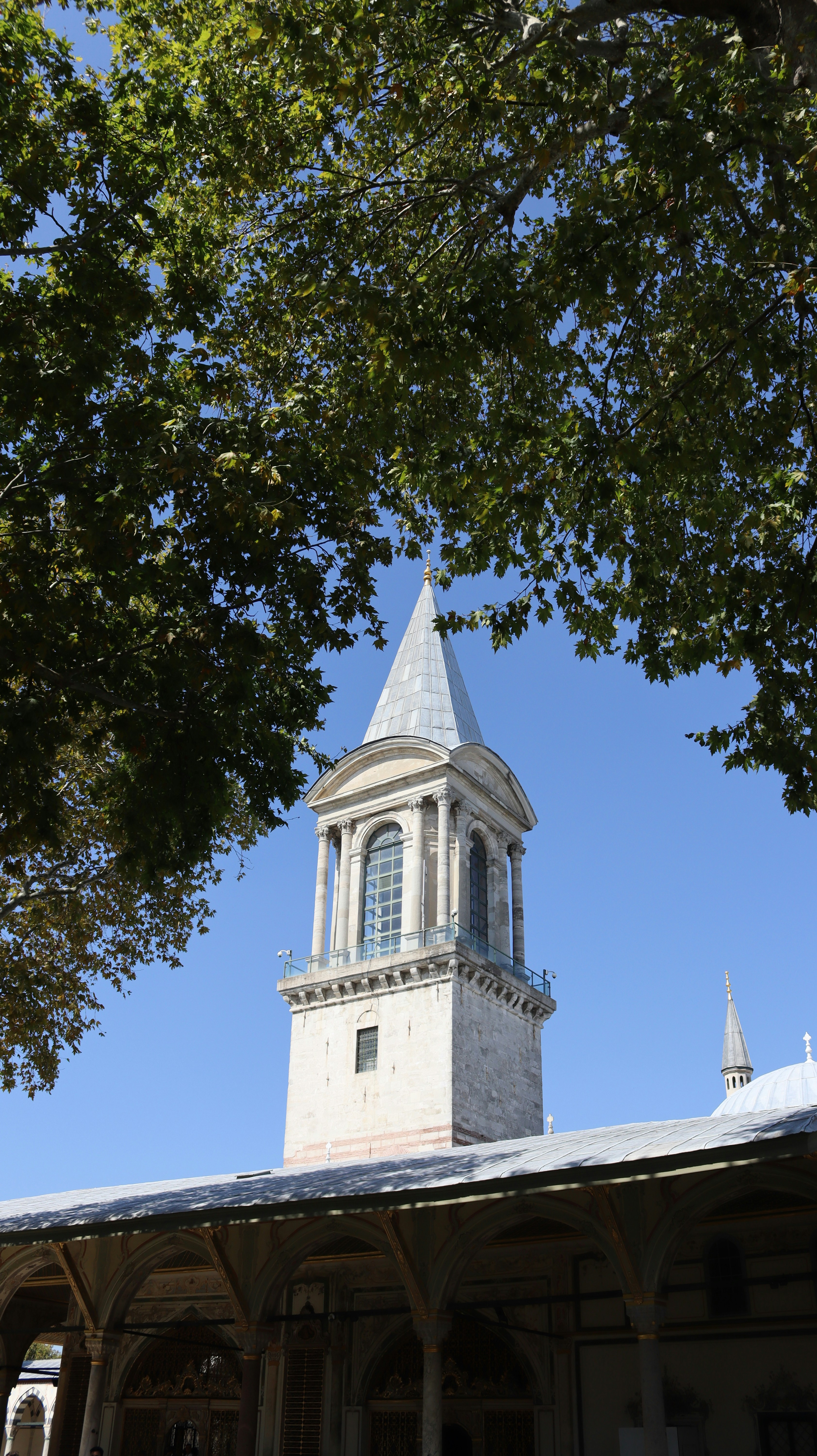 Spire Beneath the Canopy: A Clocktower Tower Rising Above Shade