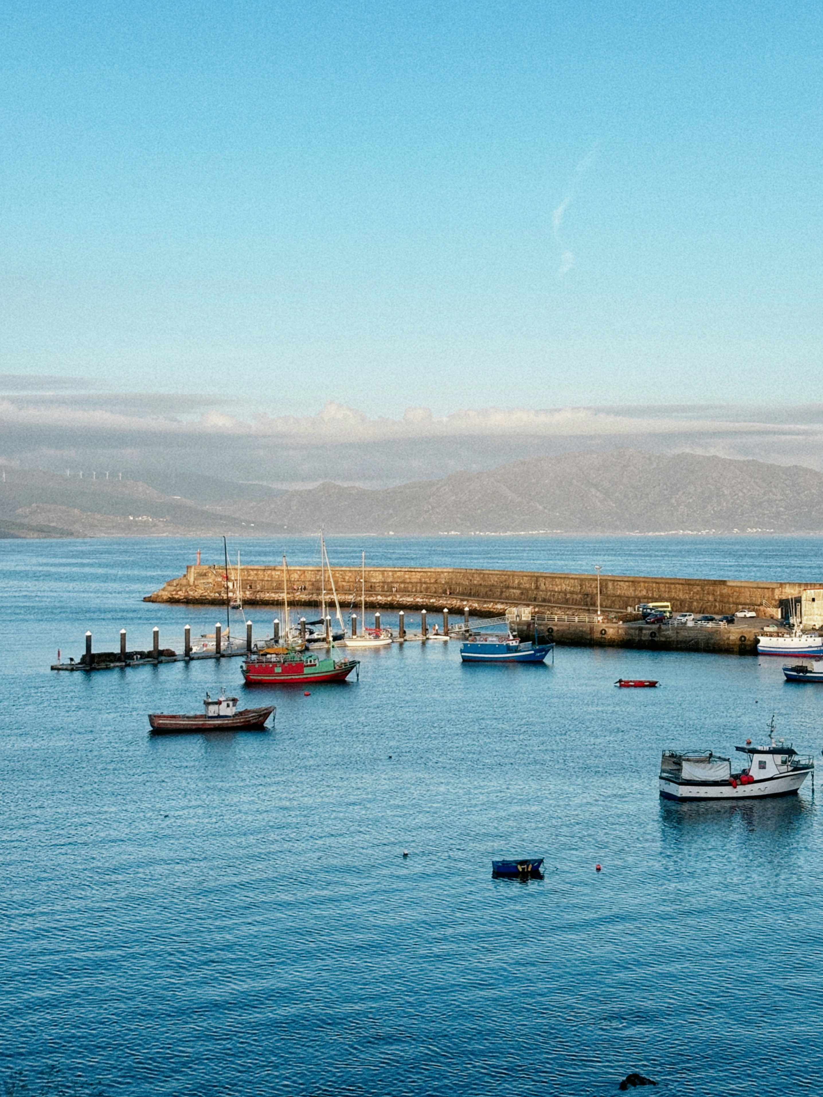 Harbor Calm: Boats Lulled by Blue Horizon