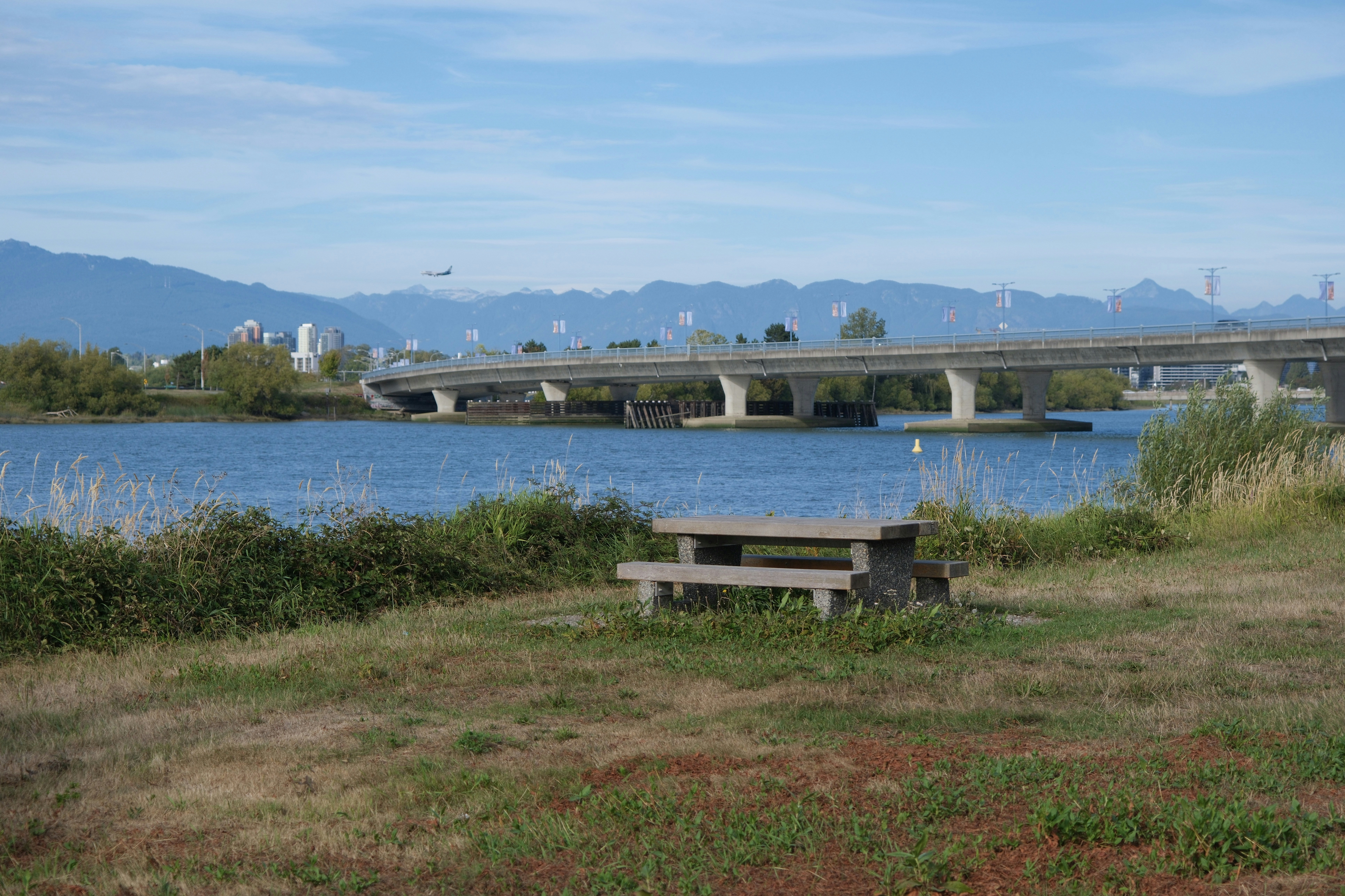 Bridge over Calm River: A Quiet Riverside Park Scene