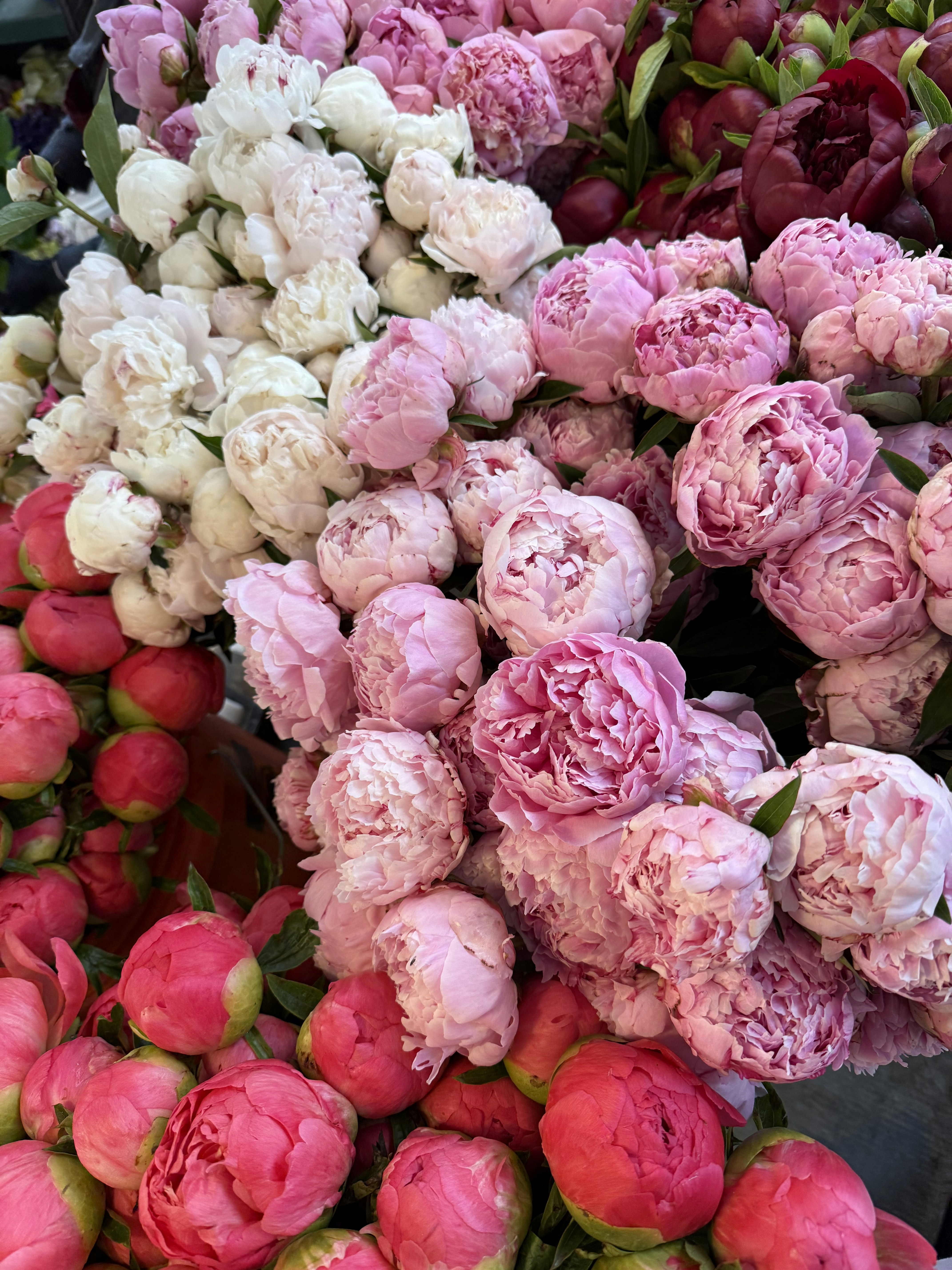 Bloom Cascade: Peony Sunset in a Floral Bounty