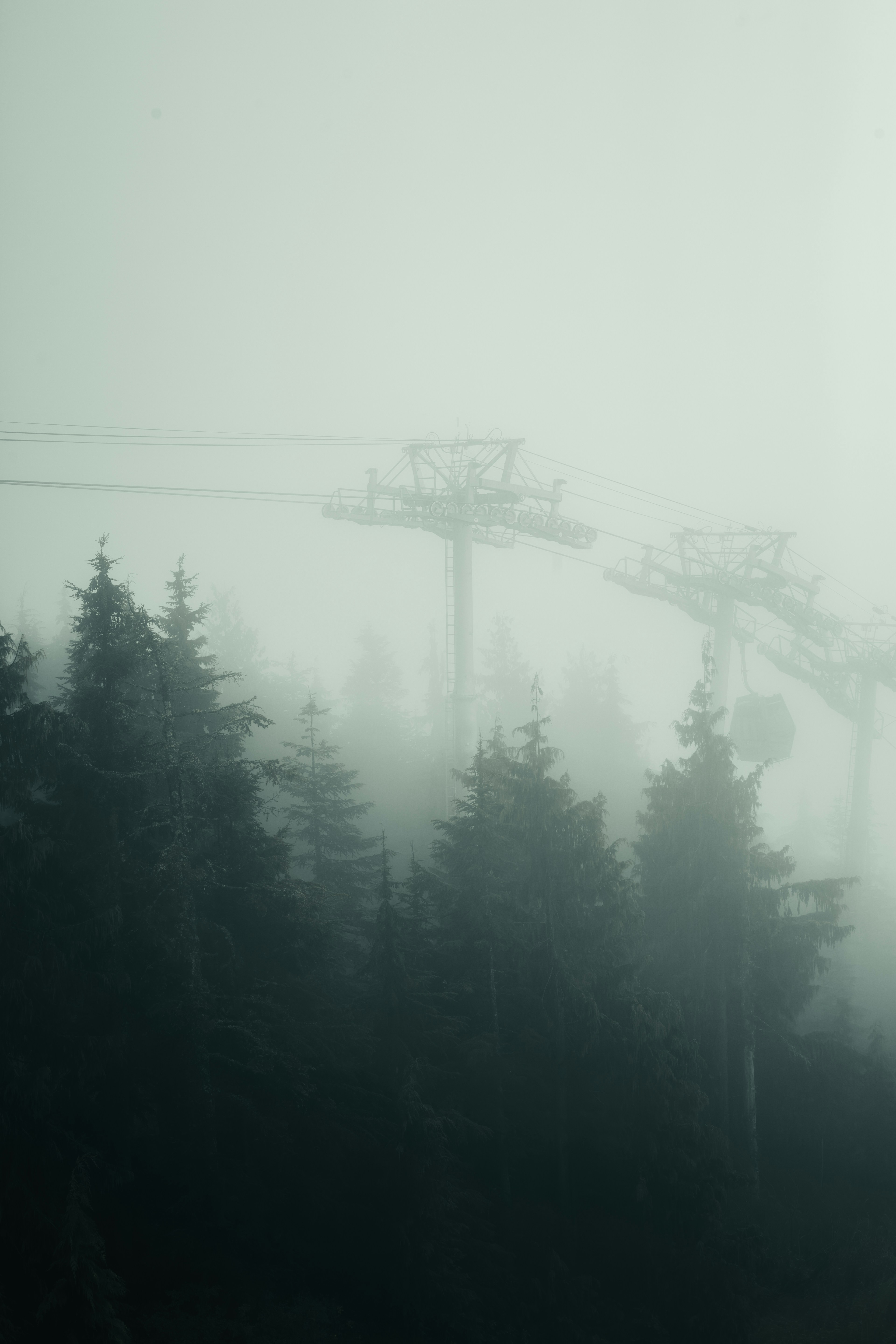 Foggy Lift Ghosts: A Silent Gondola Rests Among Conifer Shadows