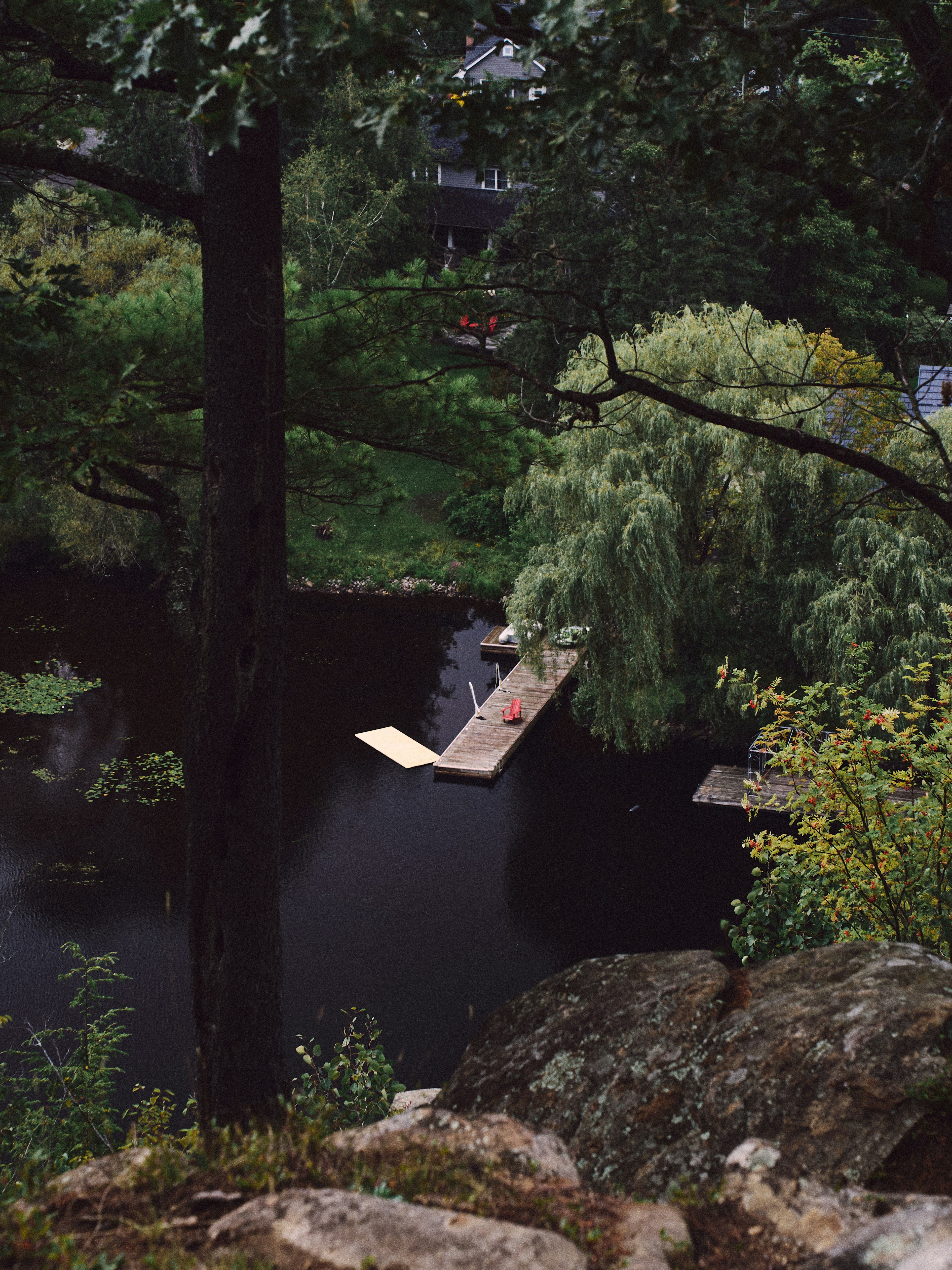 Overlook from the Cliff: A Quiet Lake with Docks and Verdant Canopy
