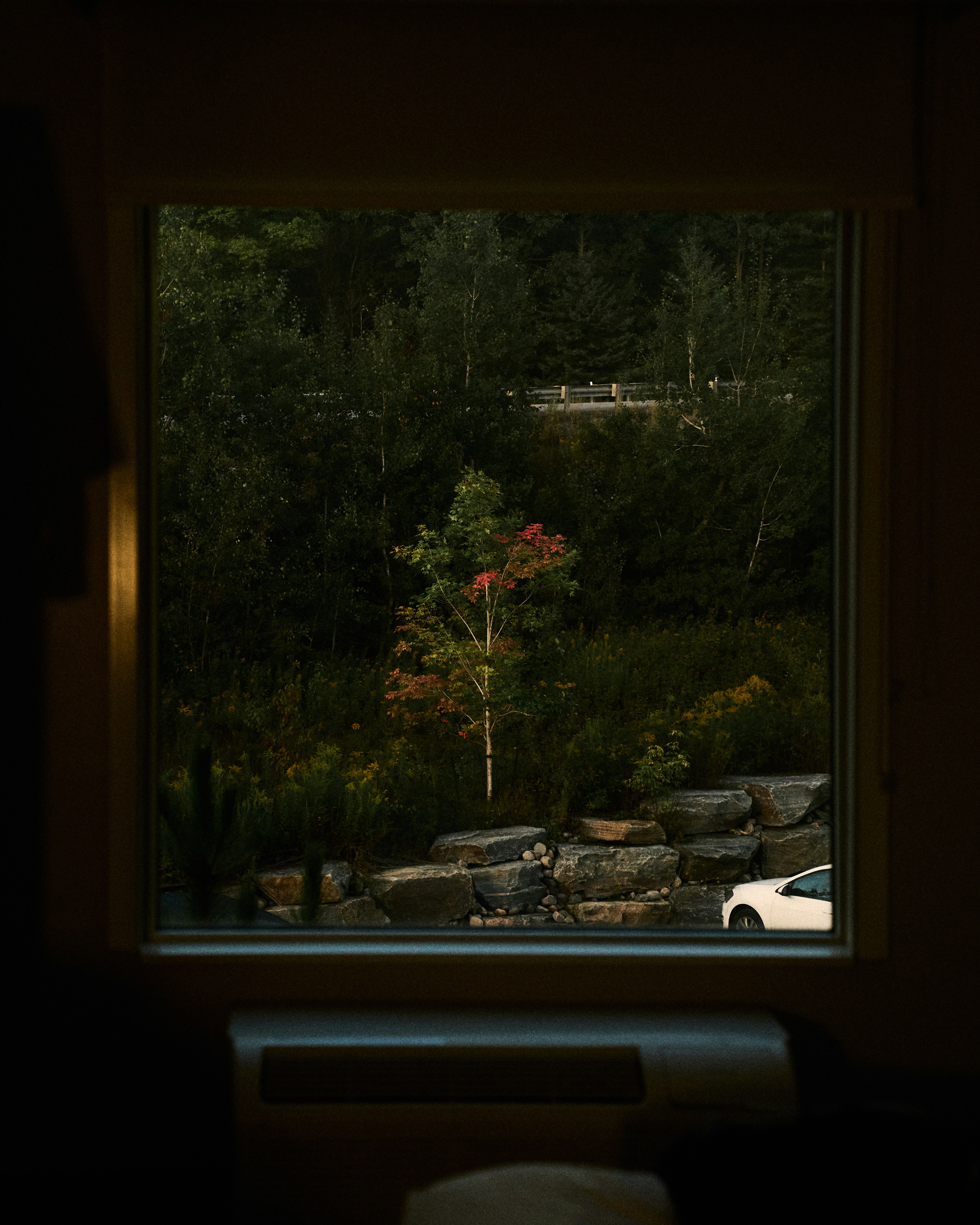 Window to Autumn Edge: A Quiet View Beyond the Frame