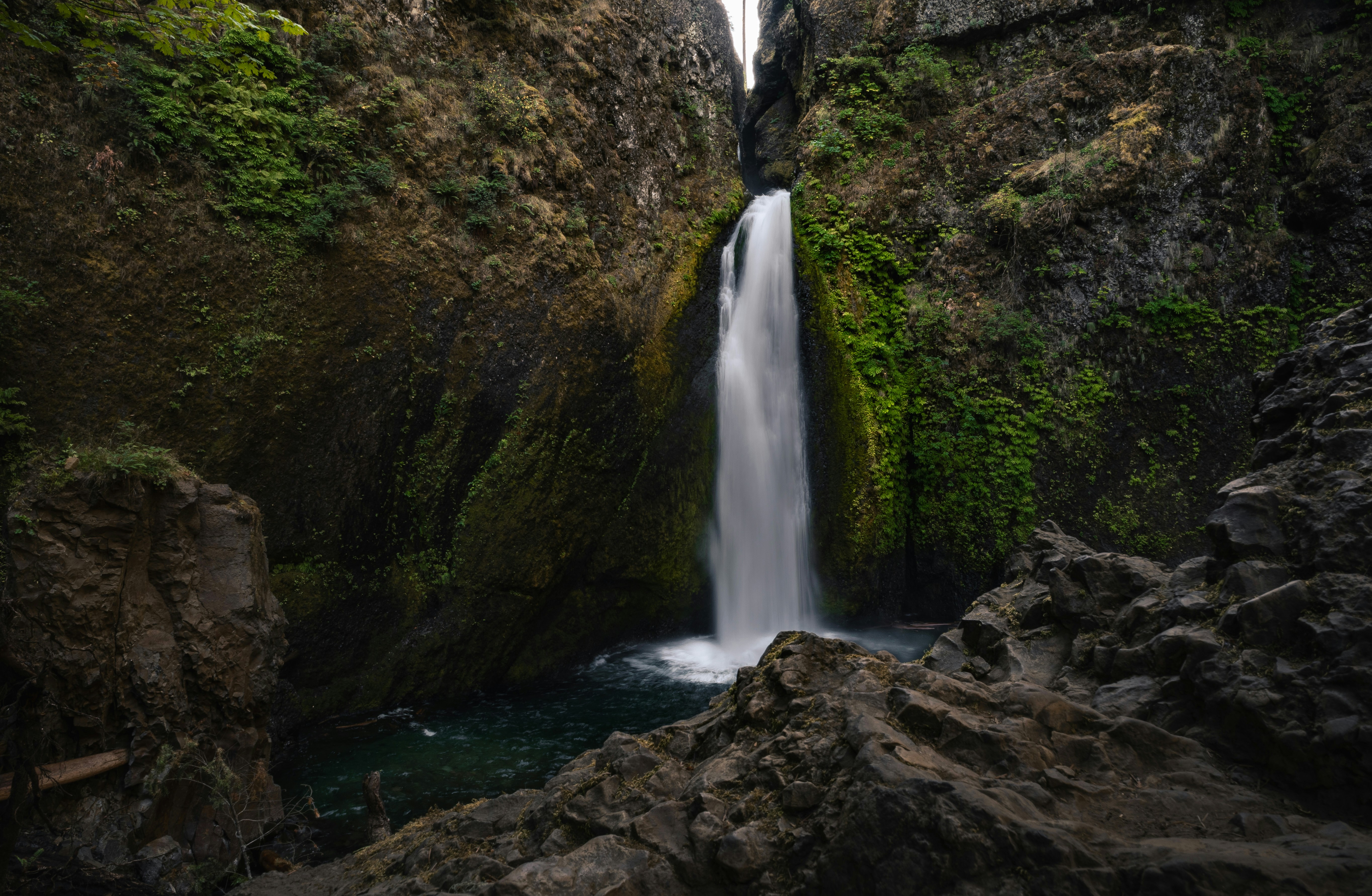 Cascading solitude: a lone waterfall in a moss-draped gorge